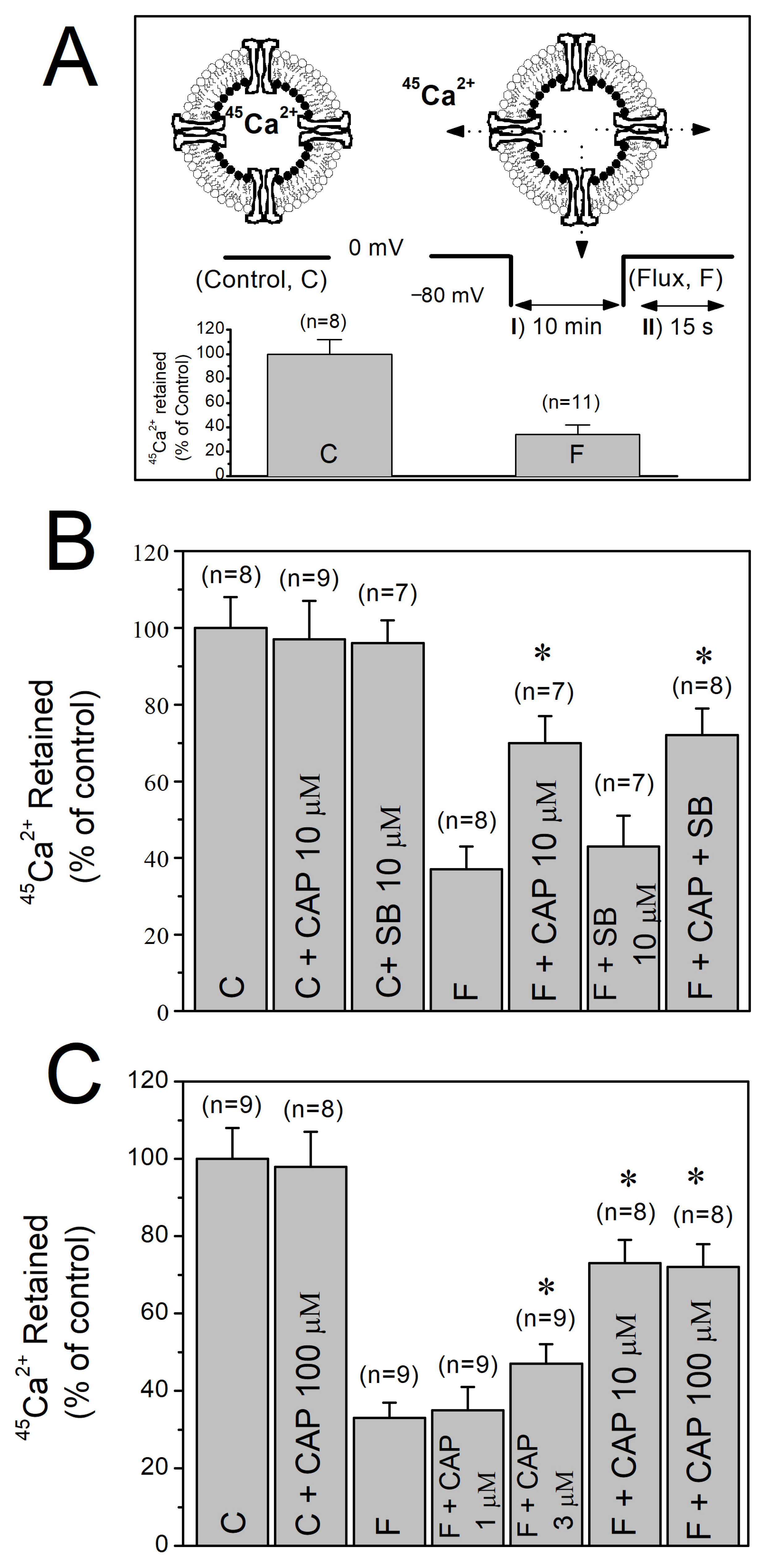 Direct Effects of Capsaicin on Voltage-Dependent Calcium Channels of ...