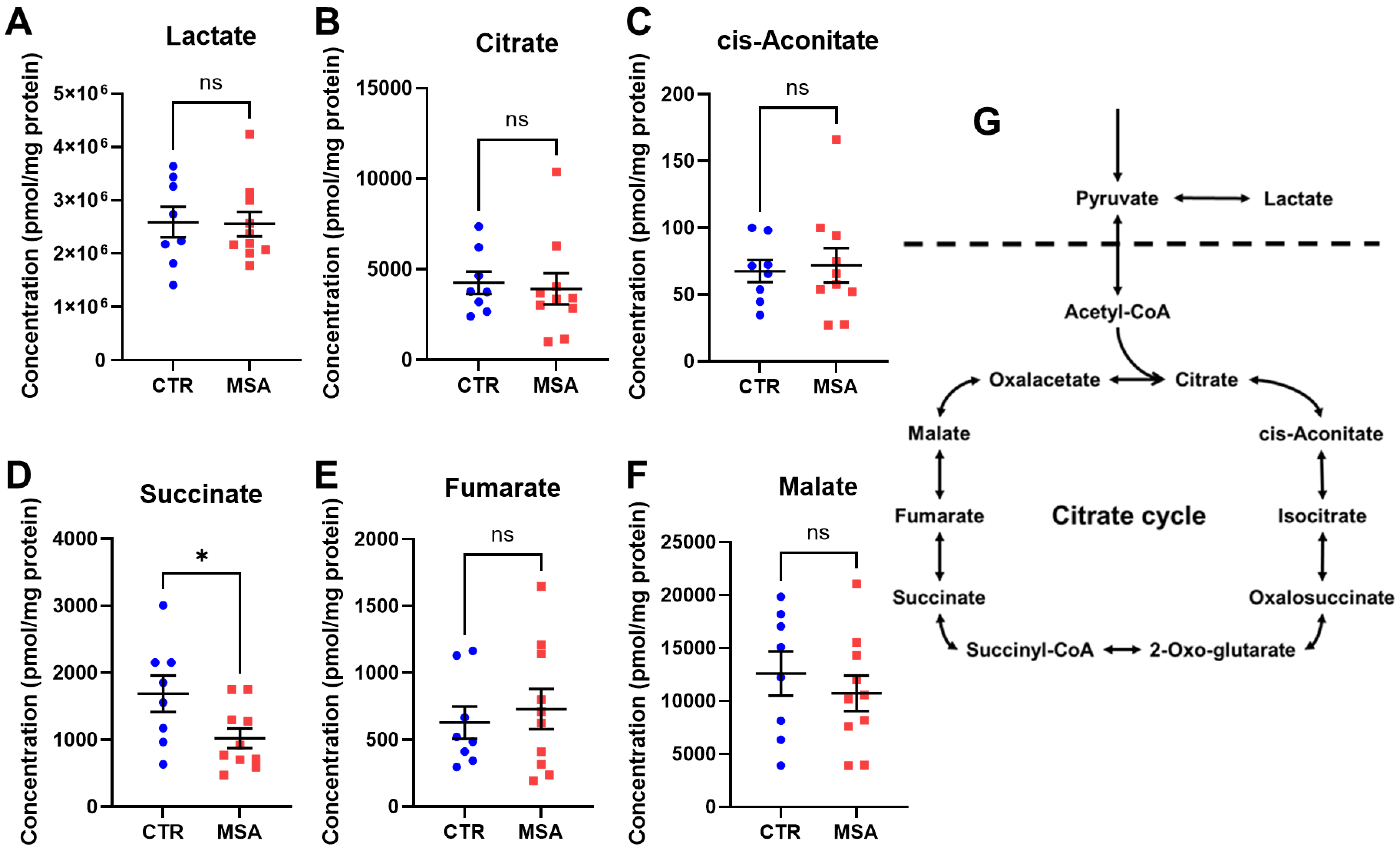 Metabolomics of Multiple System Atrophy Patient-Derived Striatal Medium ...