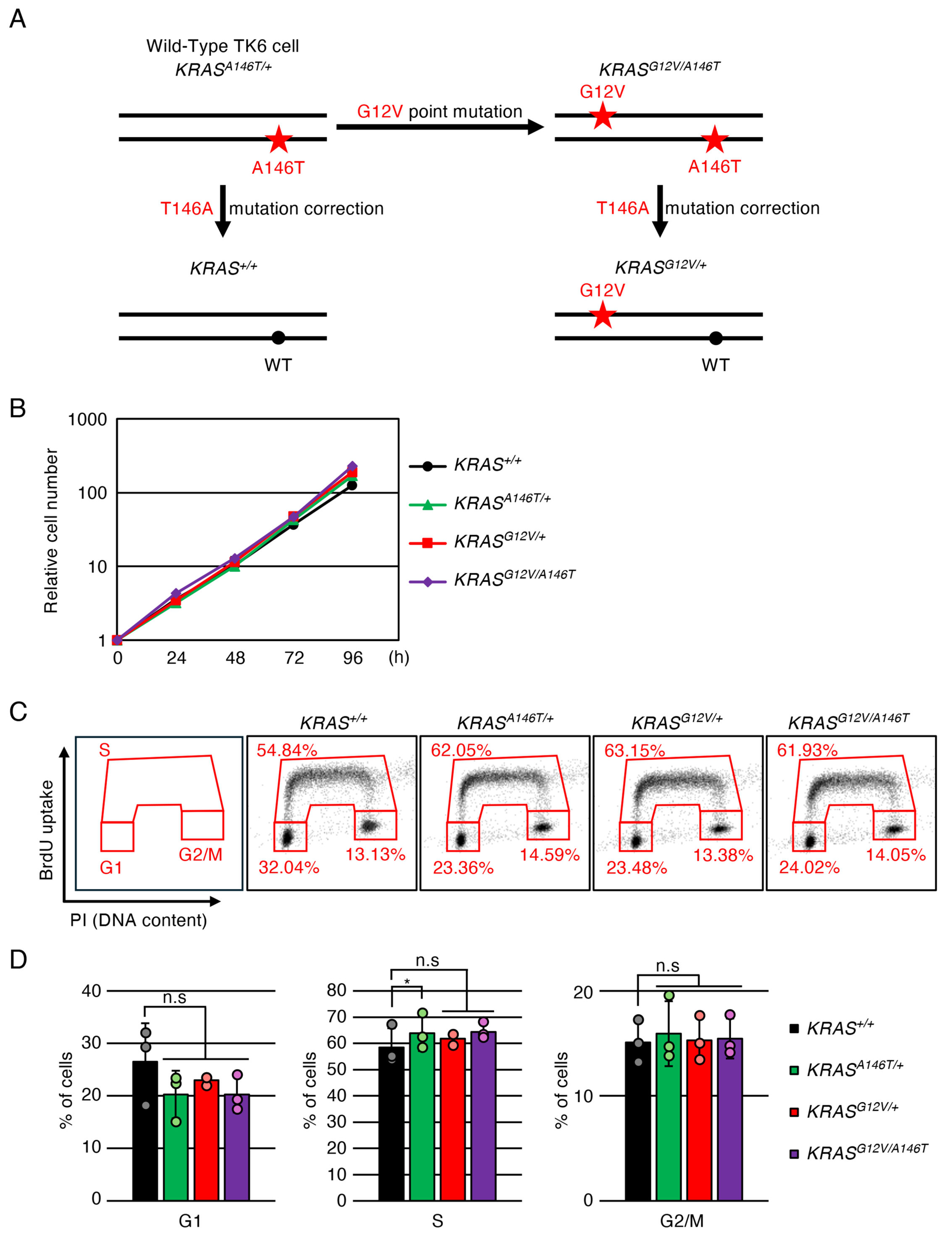 Generation of Human Haematopoietic Model Cell Lines Revealed Distinct ...