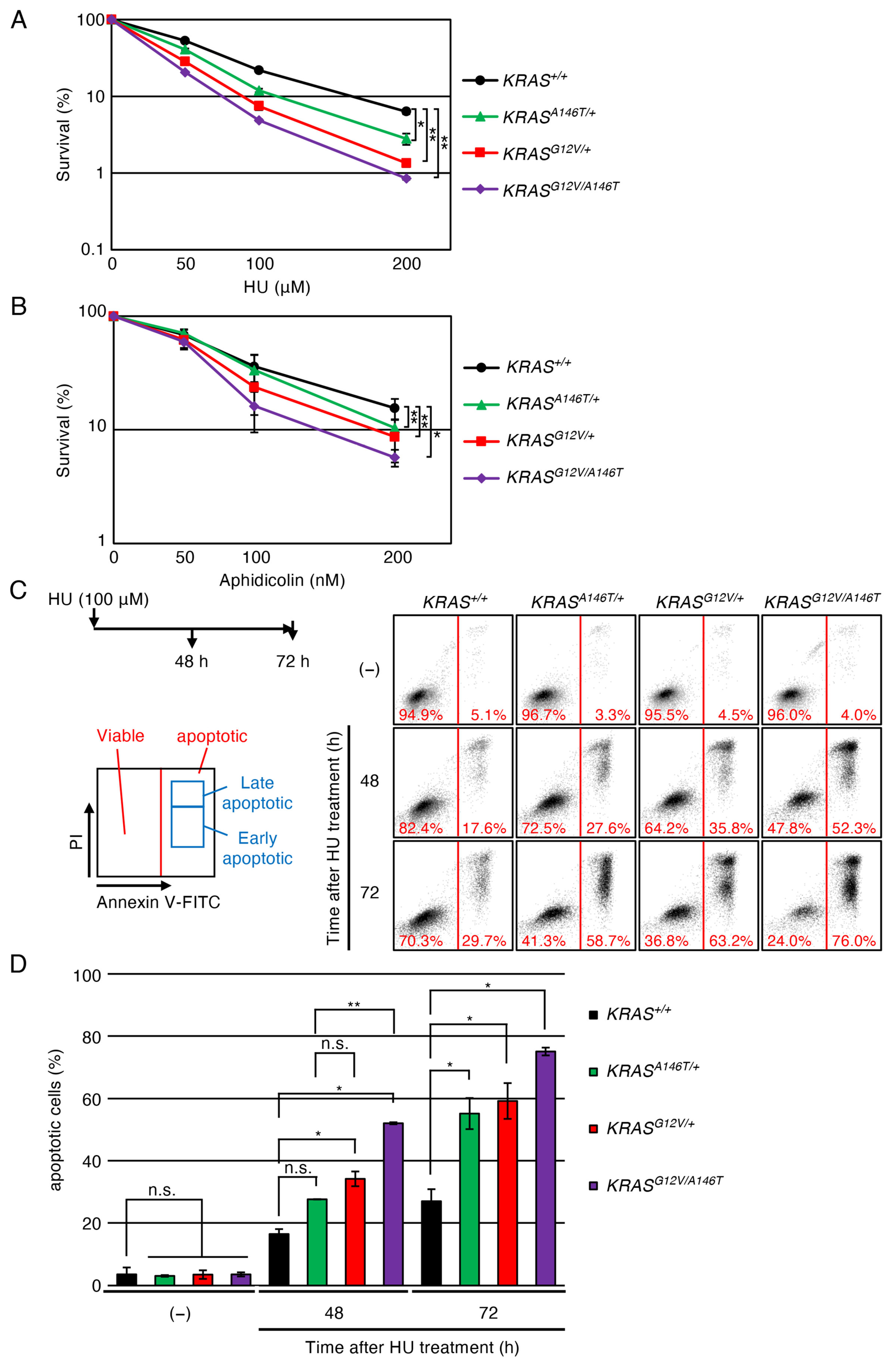 Generation of Human Haematopoietic Model Cell Lines Revealed Distinct ...