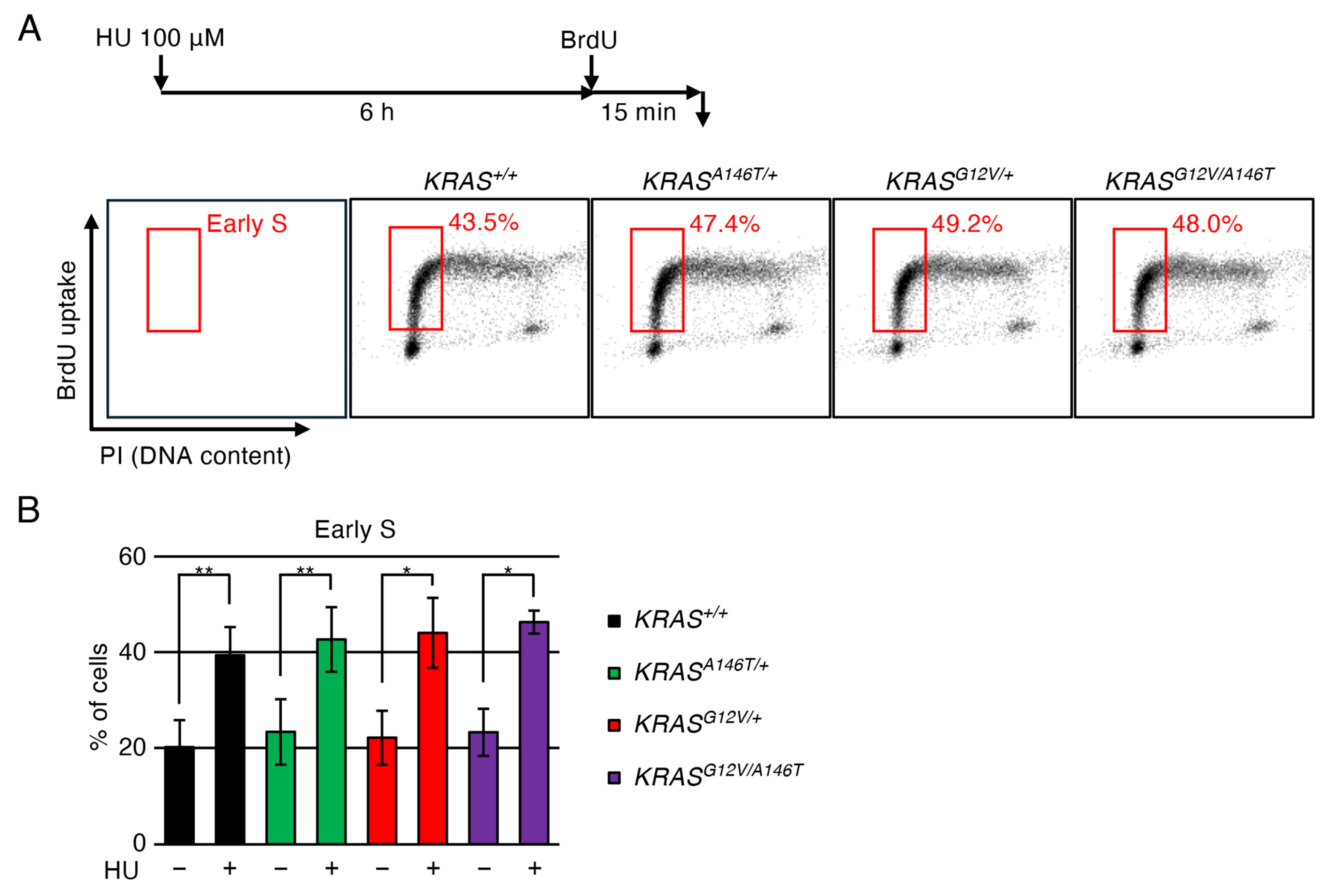 Generation of Human Haematopoietic Model Cell Lines Revealed Distinct ...