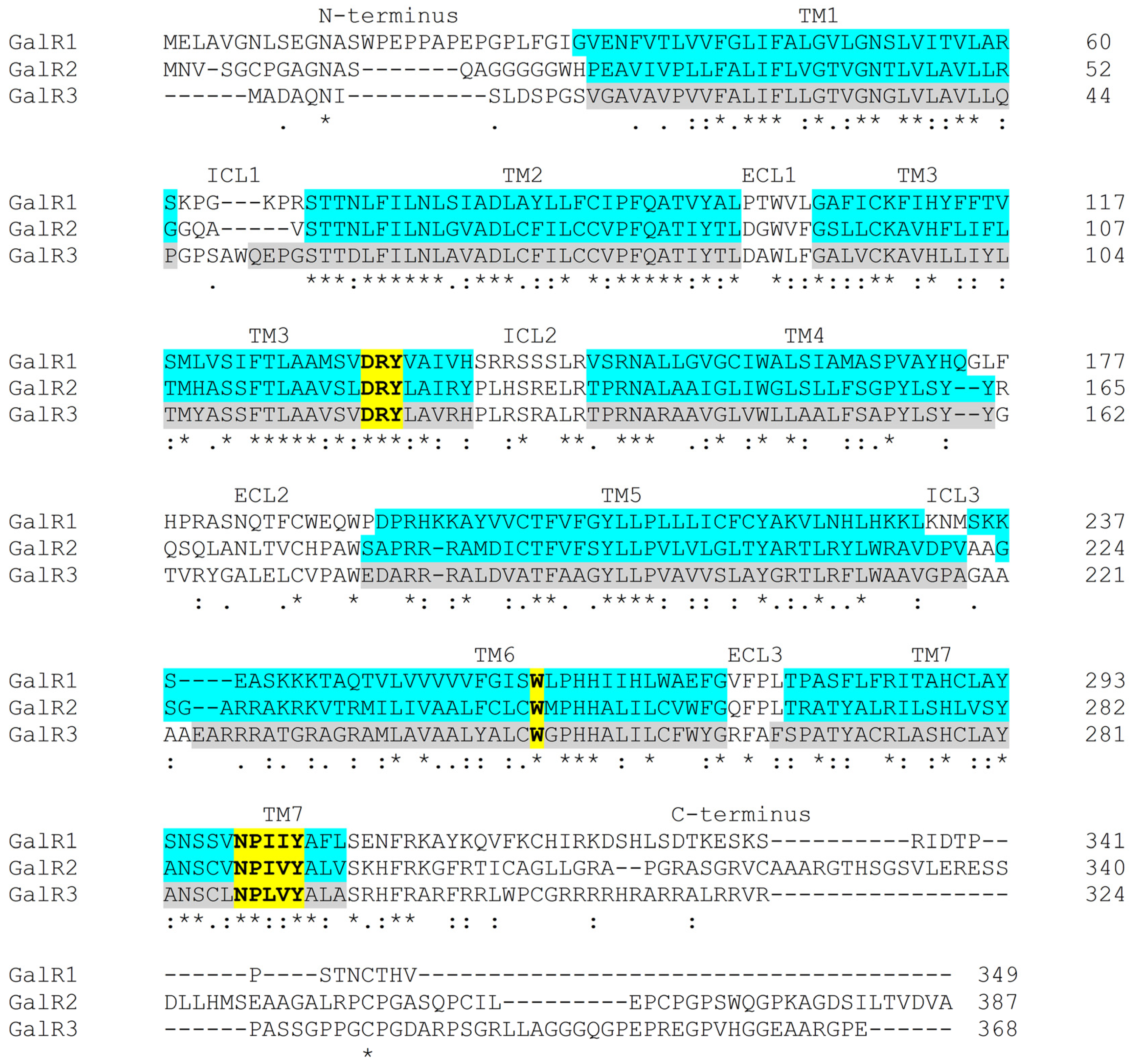 Galanin Receptors: G Protein-Dependent Signaling and Beyond