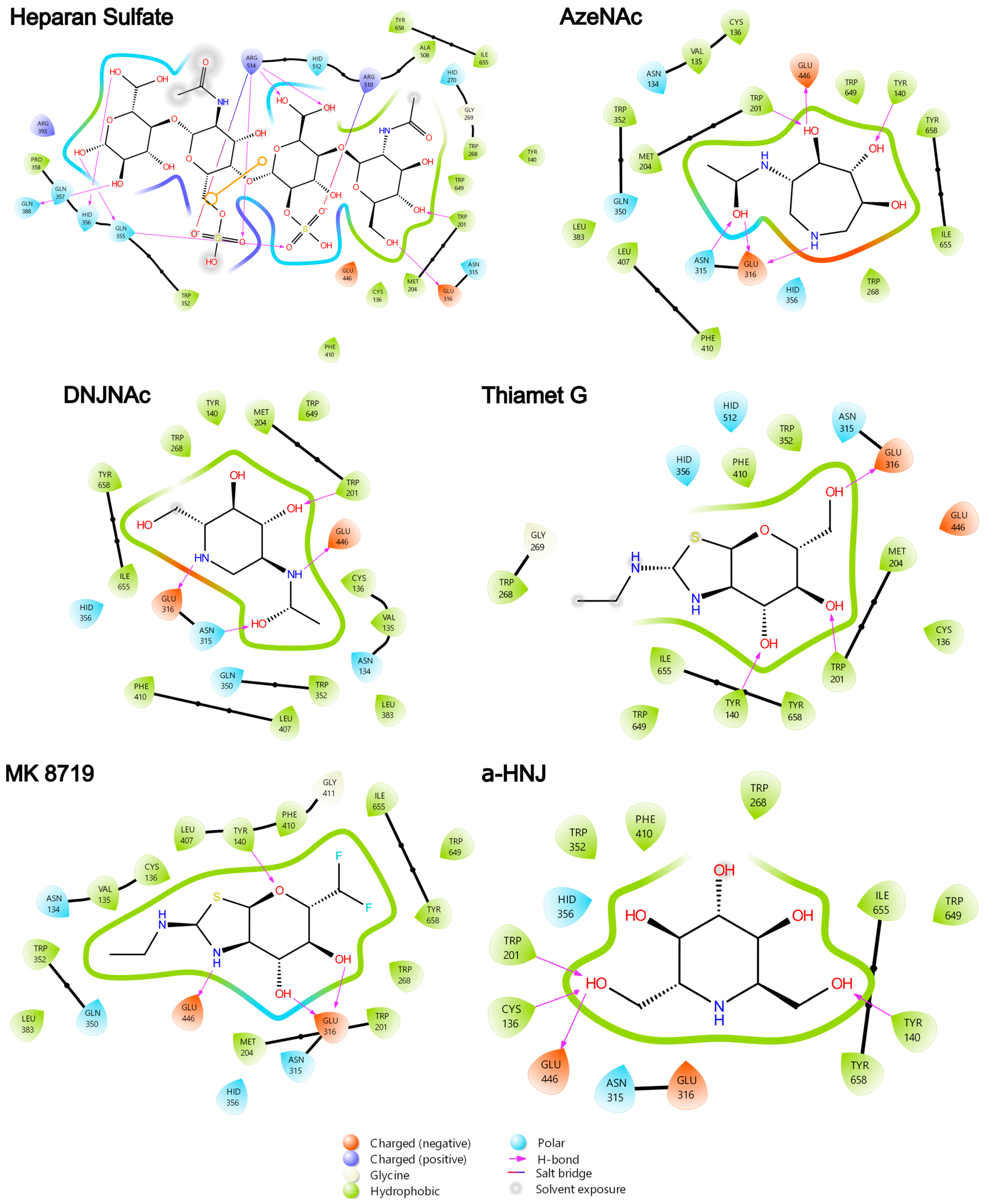 Evaluation of GlcNAc-Configured Glycomimetics as Pharmacological ...
