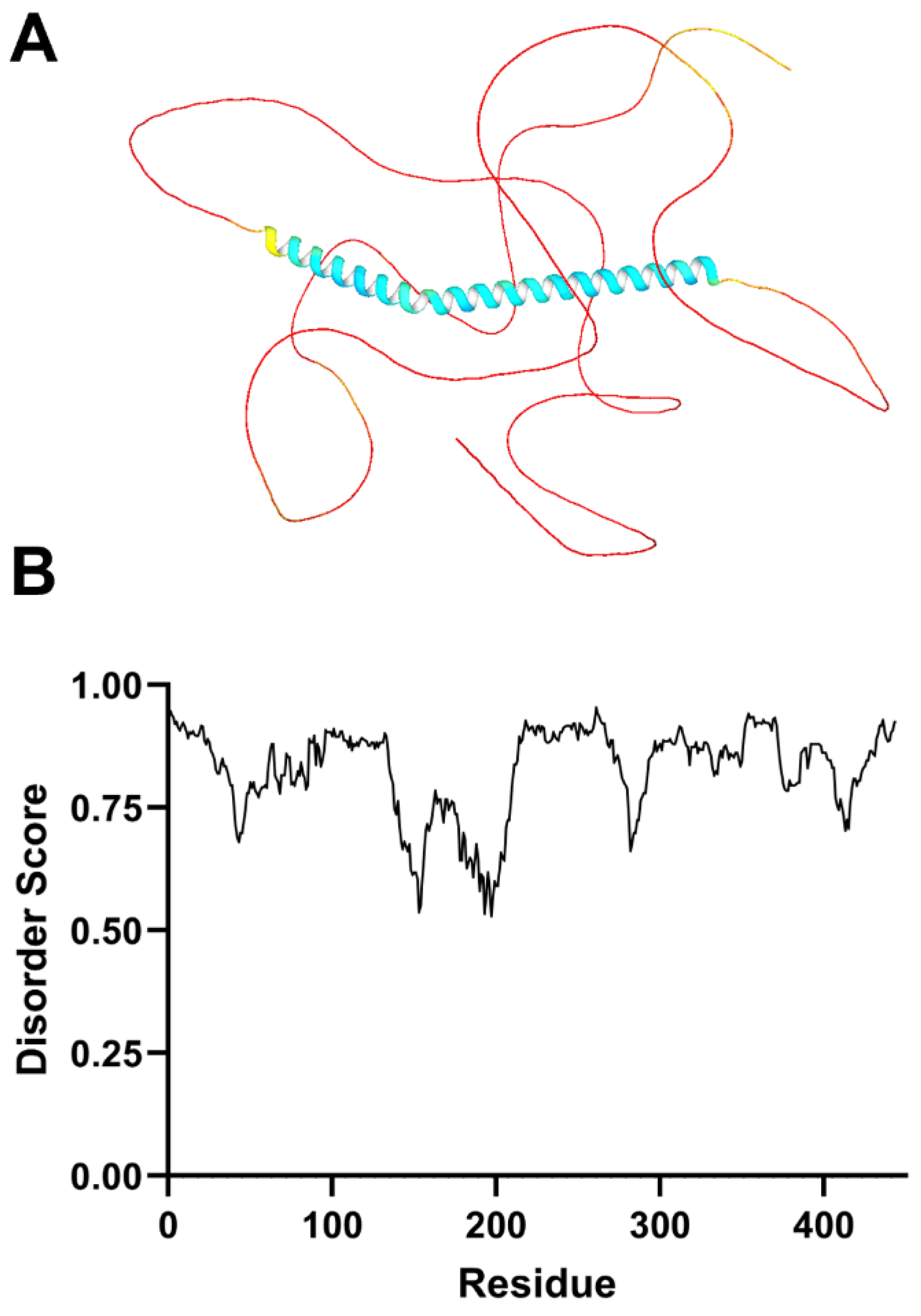 Insights into Tardigrade Damage-Suppression Protein, Dsup
