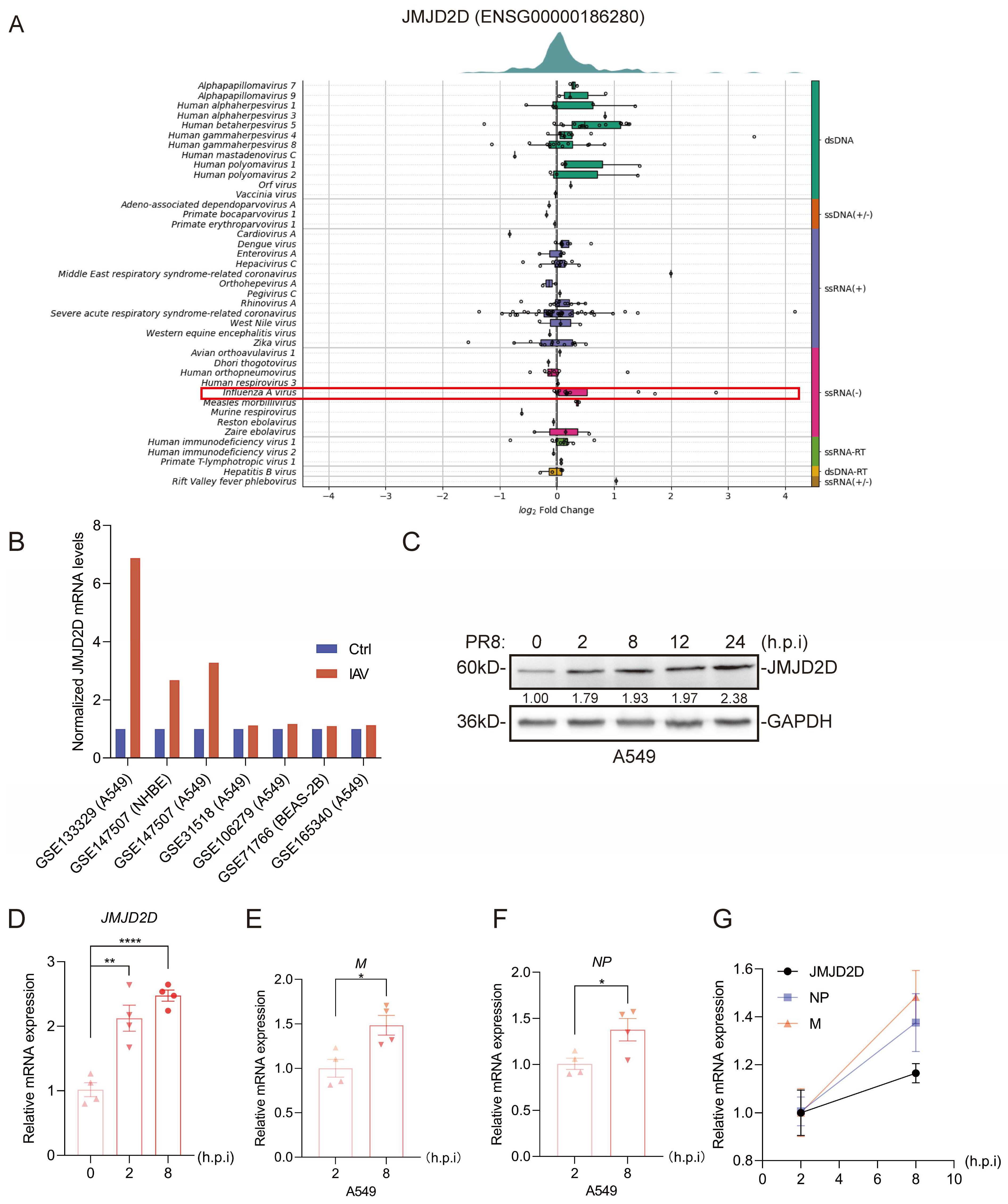 Histone Demethylase JMJD2D Suppresses Influenza A Virus Infection by ...
