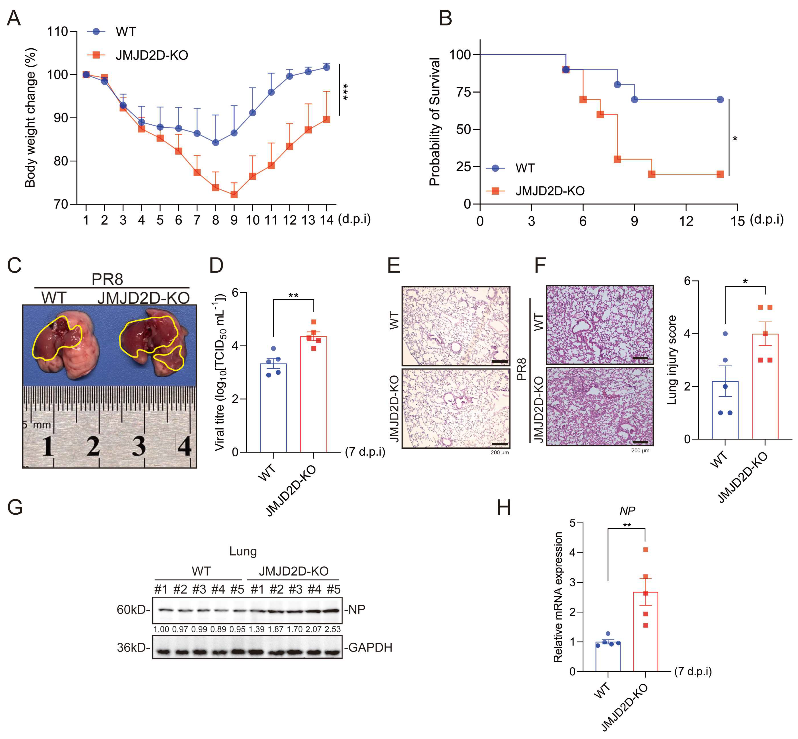 Histone Demethylase JMJD2D Suppresses Influenza A Virus Infection by ...