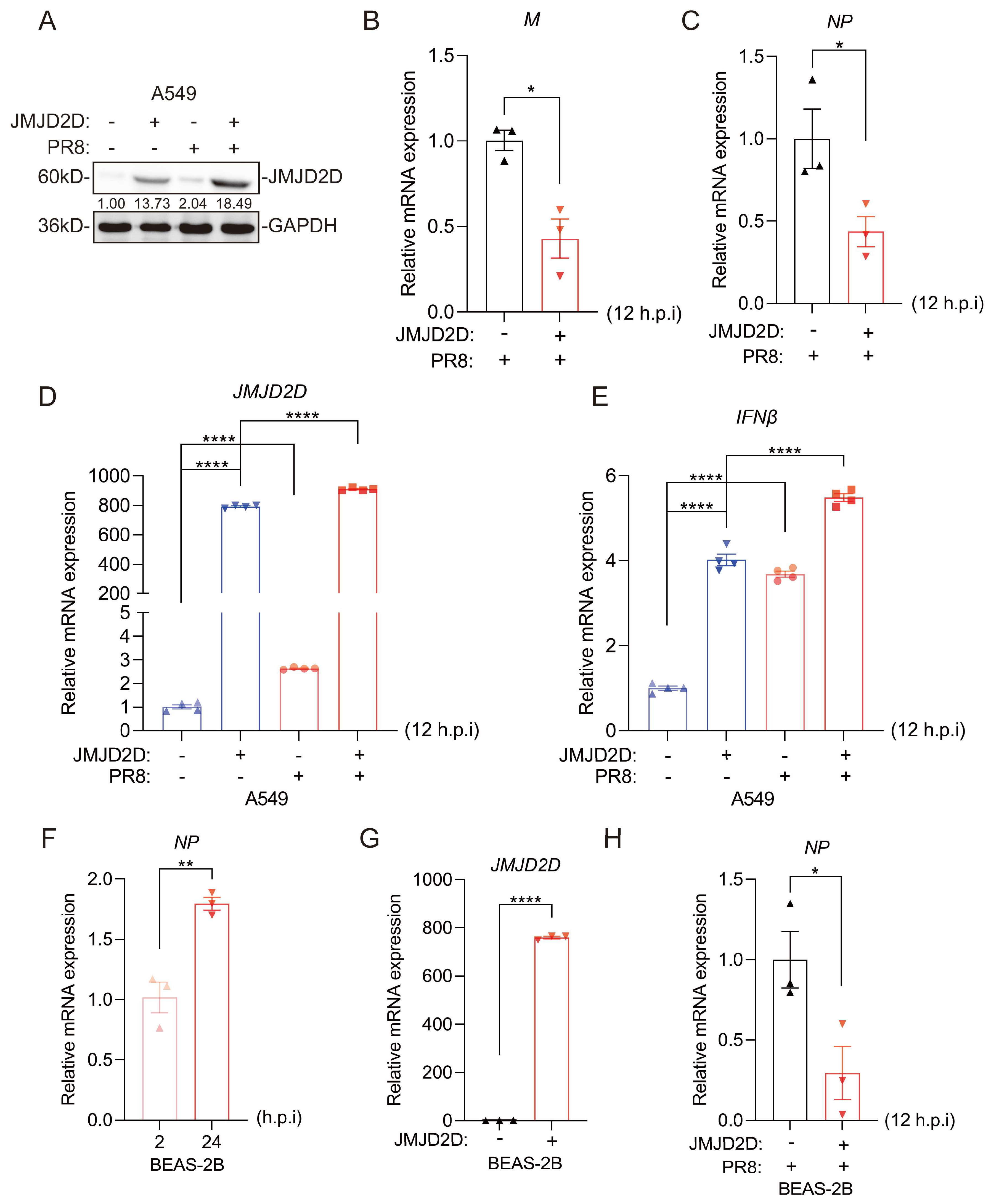 Histone Demethylase JMJD2D Suppresses Influenza A Virus Infection by ...