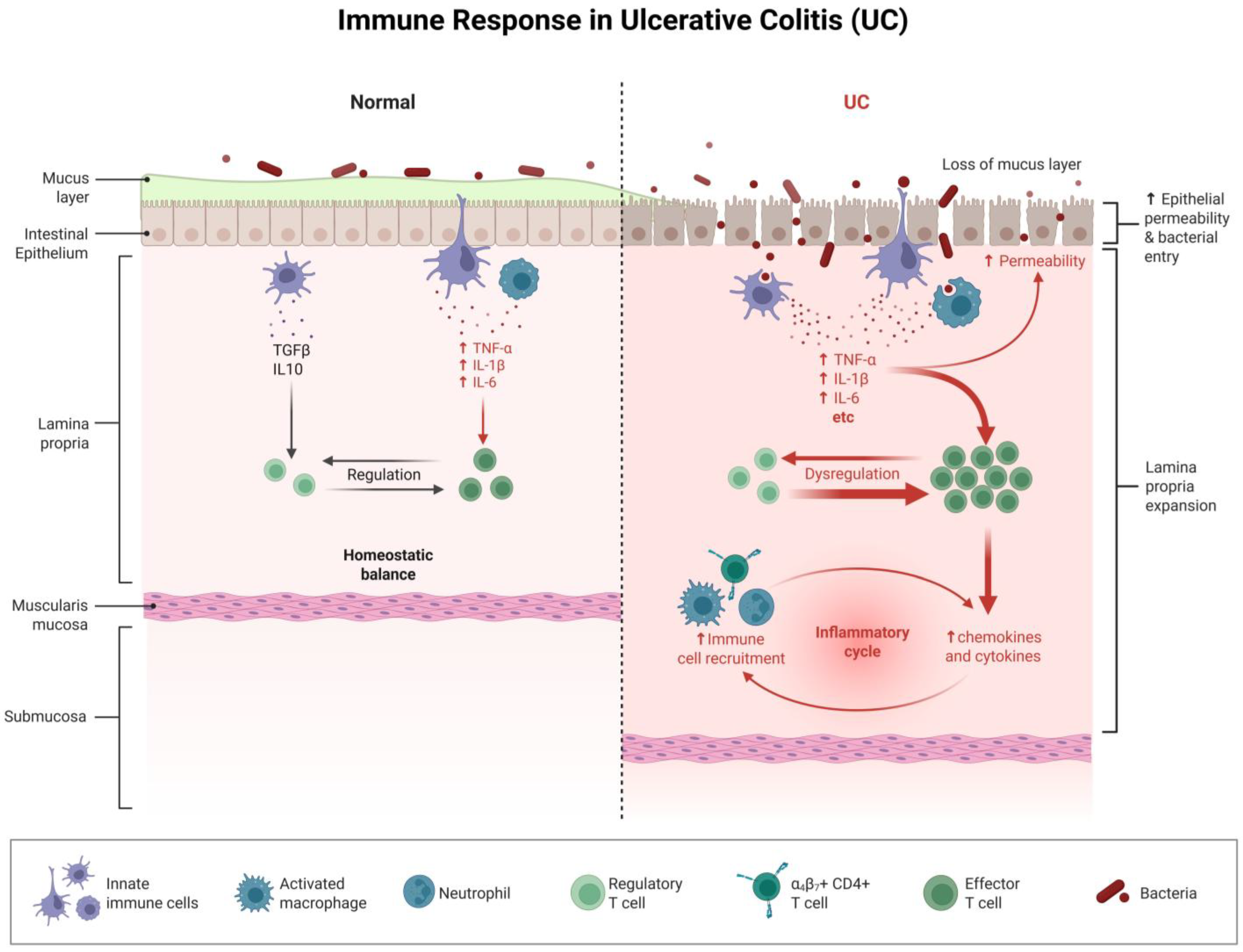 Review on the Mechanism of and Therapies Targeting PANoptosis in ...