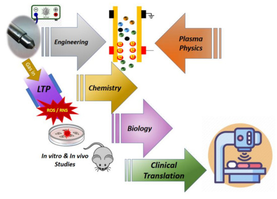 Recent Advances in Plasma-Based Cancer Treatments: Approaching Clinical ...