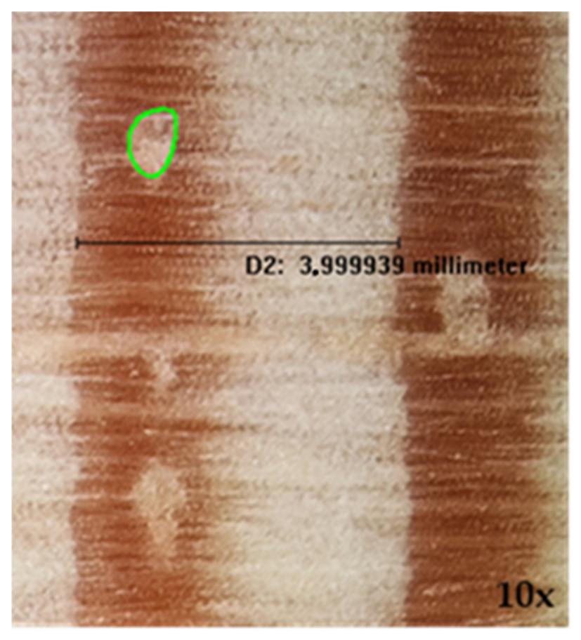 Effects of Resin Tapping on the Wood Properties of Pinus pinaster Ait