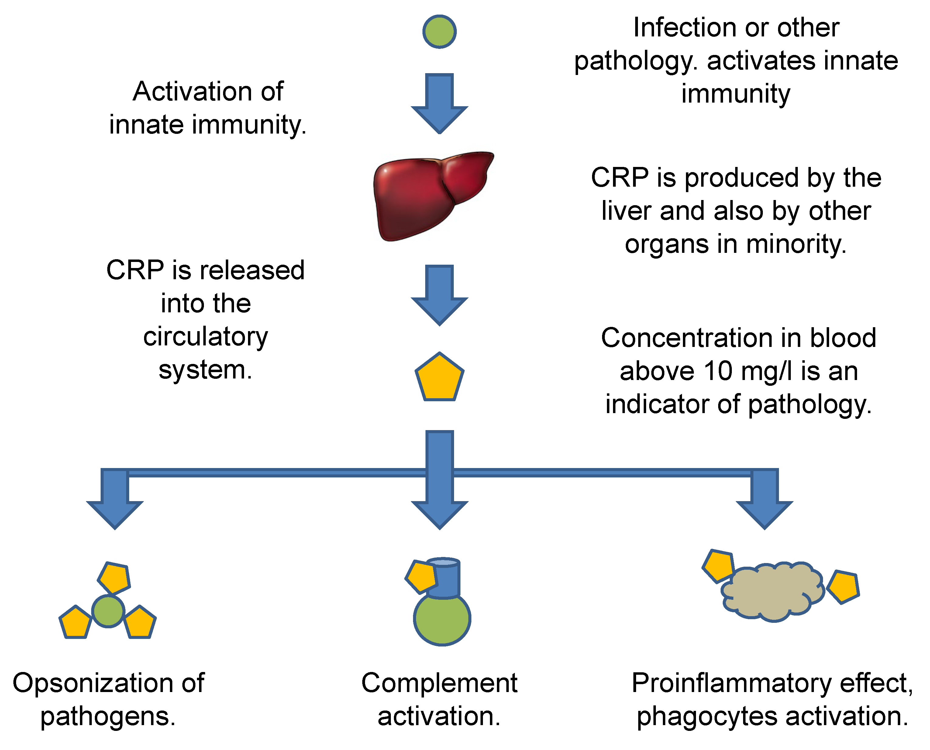 Biosensors Free Full Text Diagnoses Based On C Reactive Protein Biosensors Free Full Text Diagnoses Based On C Reactive Protein
