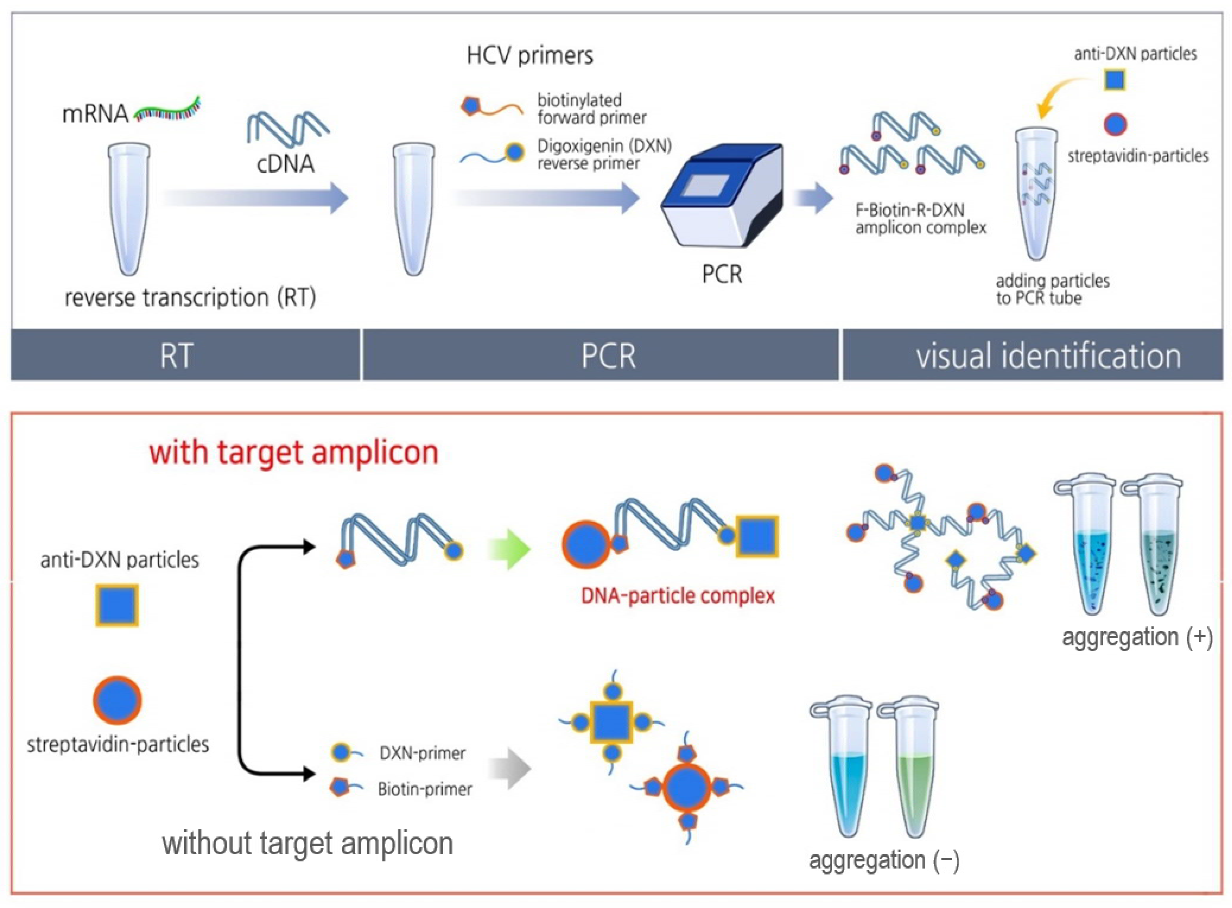 Biosensors Free Full Text Nanoparticle Based Visual Detection Of Biosensors Free Full Text Nanoparticle Based Visual Detection Of