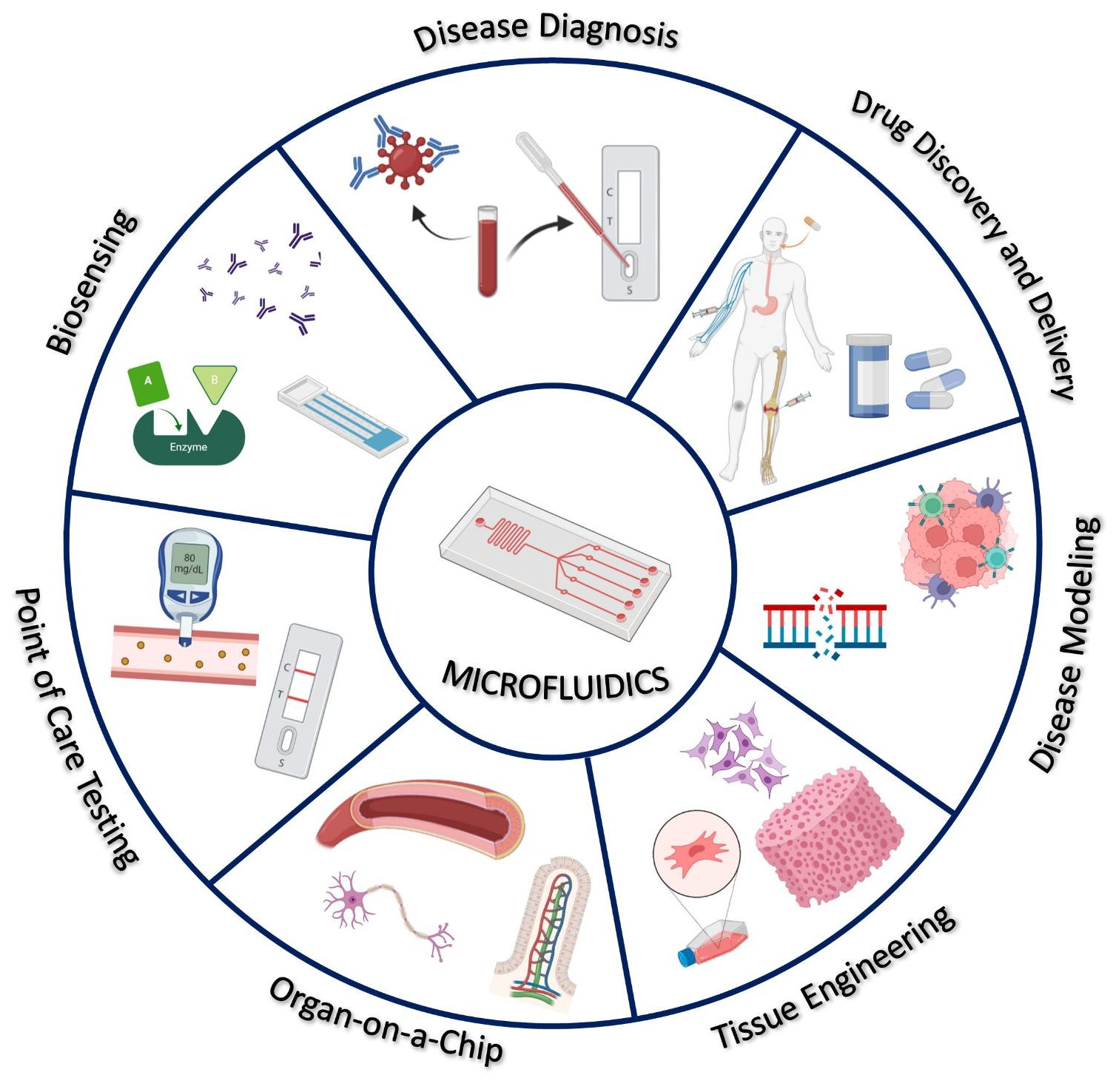 Biomedical Applications Of Microfluidic Devices A Review Biomedical Applications Of Microfluidic Devices A Review