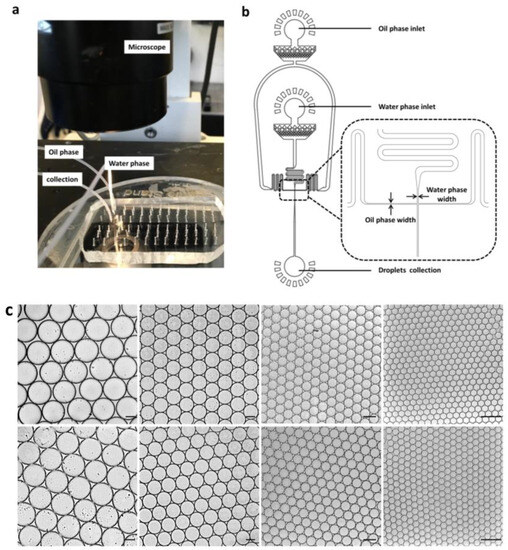 utPCR: A Strategy for the Highly Specific and Absolutely Quantitative Detection of Single ...