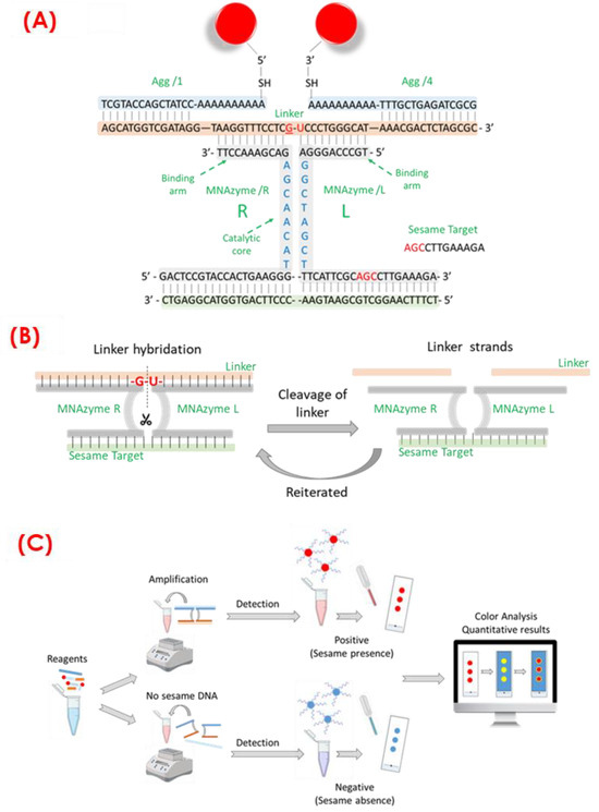 Biosensors | An Open Access Journal from MDPI