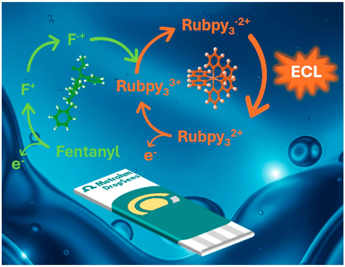 Direct ECL Detection of Fentanyl Drug with Bare Screen-Printed Electrodes