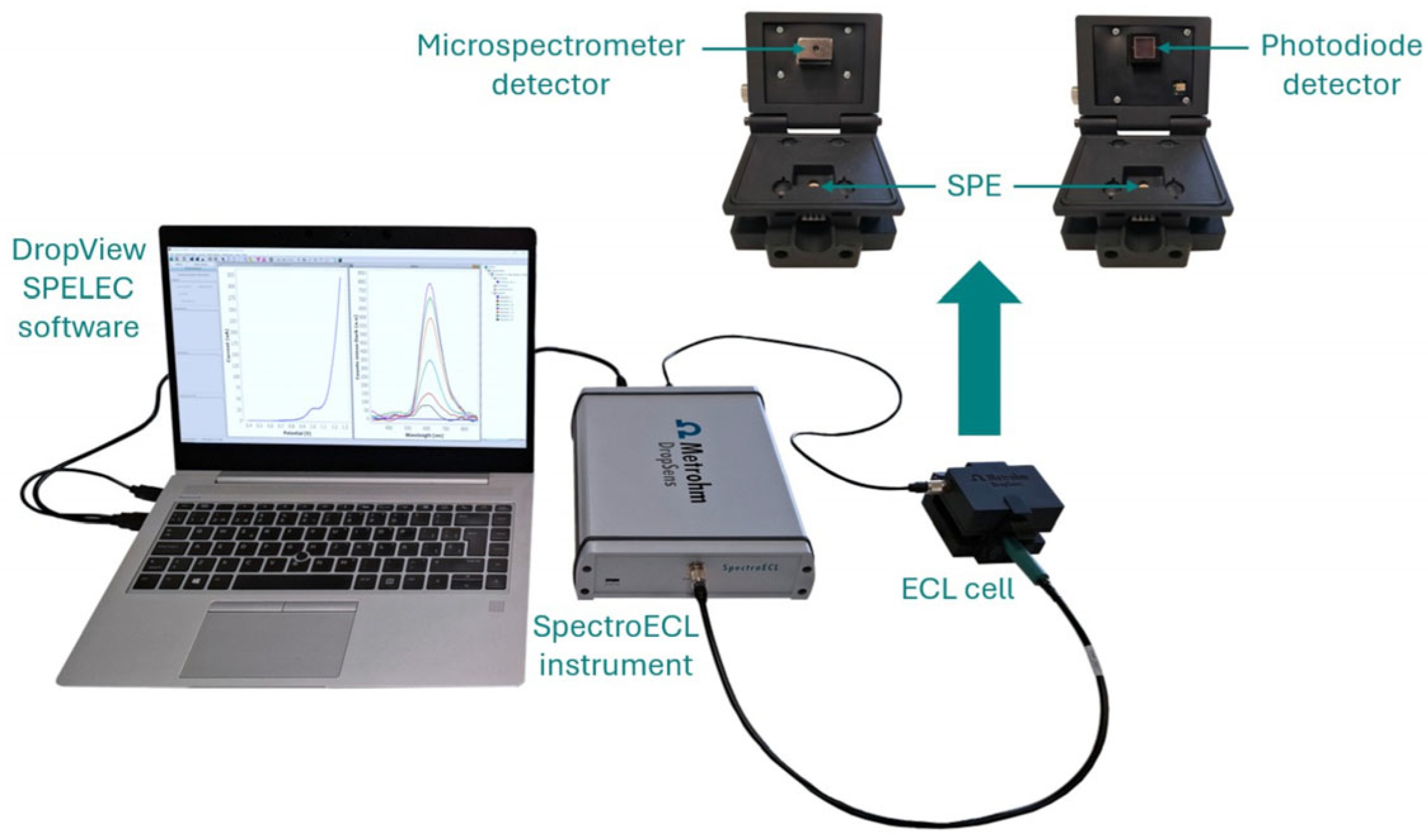 Direct ECL Detection of Fentanyl Drug with Bare Screen-Printed Electrodes