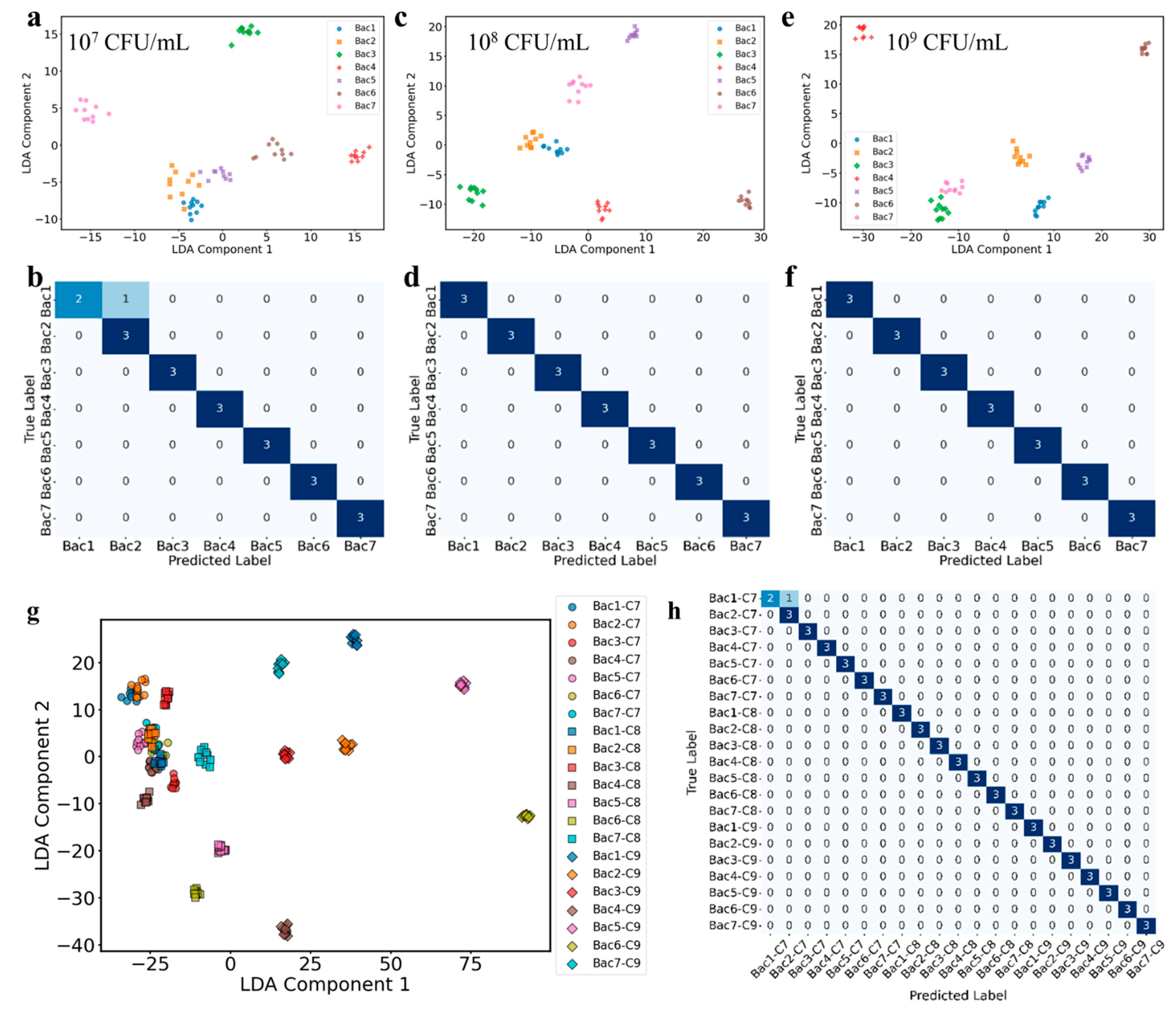 Machine Learning-Assisted SERS Platform for Rapid and Quantitative ...