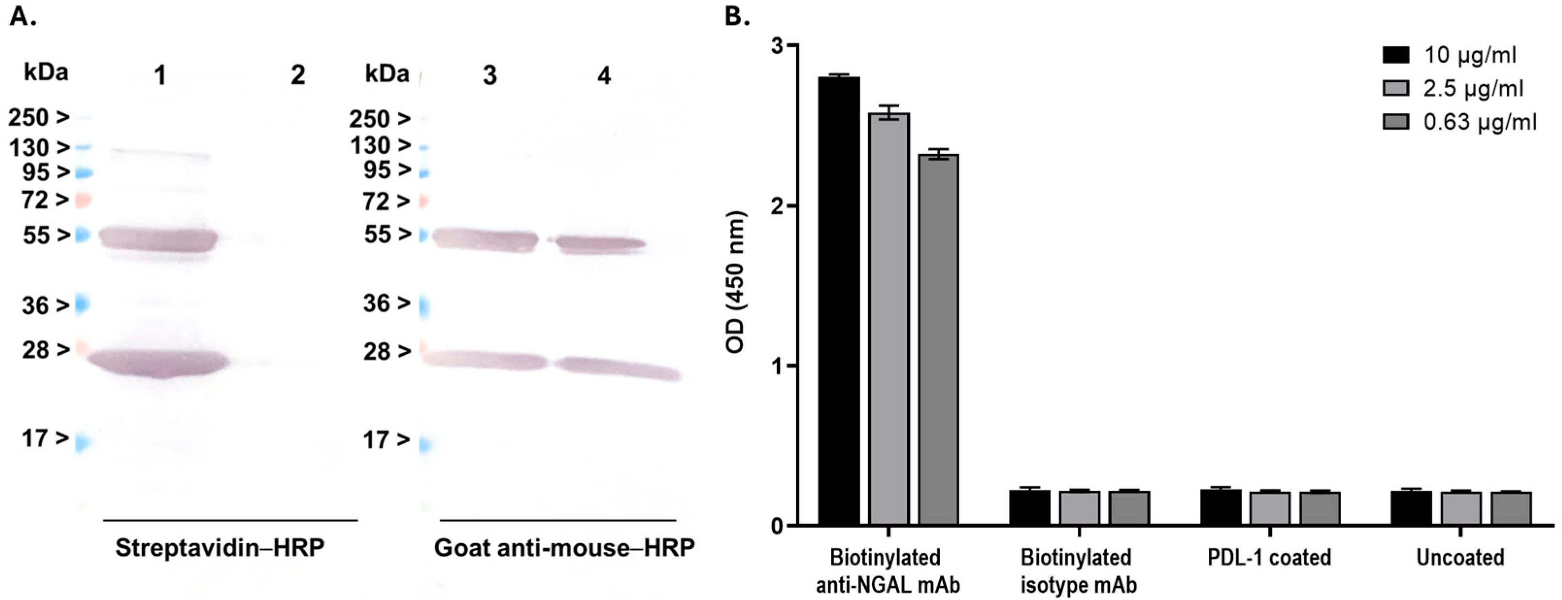 Antibody-Based Biolayer Interferometry Platform for Rapid Detection of ...