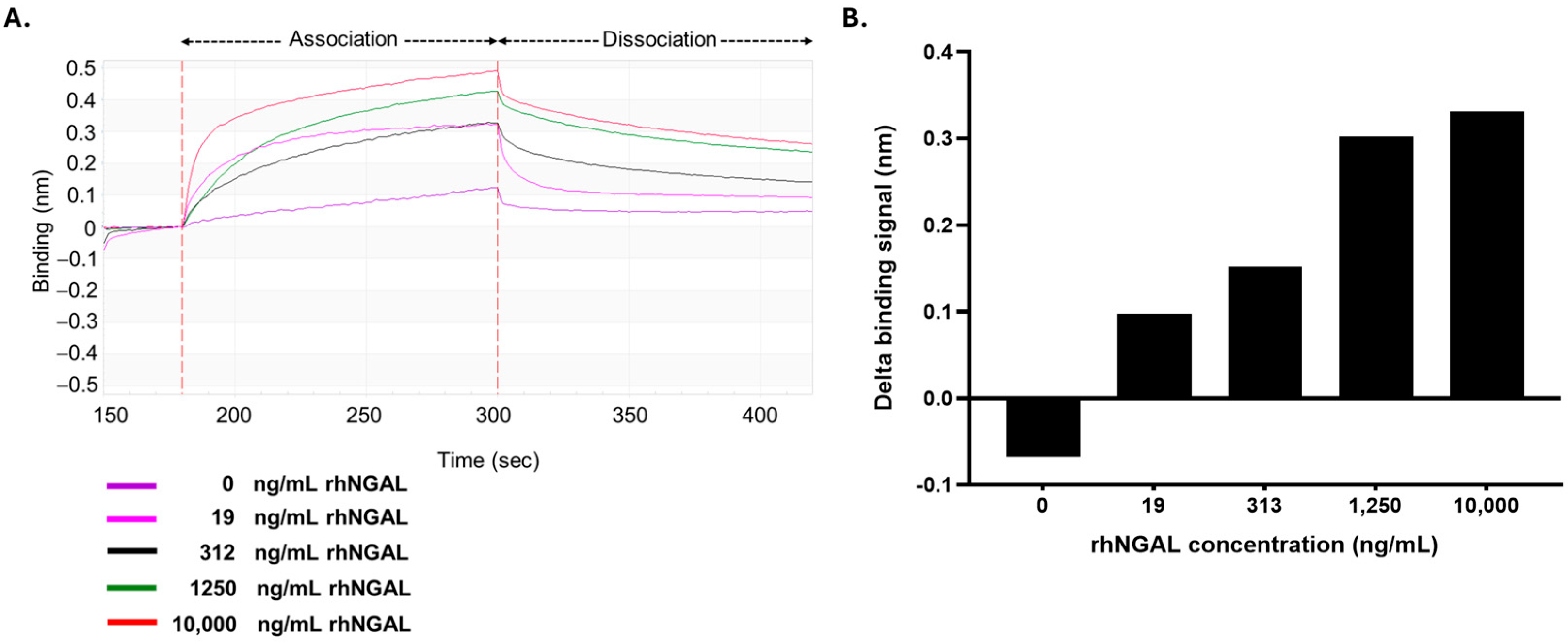 Antibody-Based Biolayer Interferometry Platform for Rapid Detection of ...