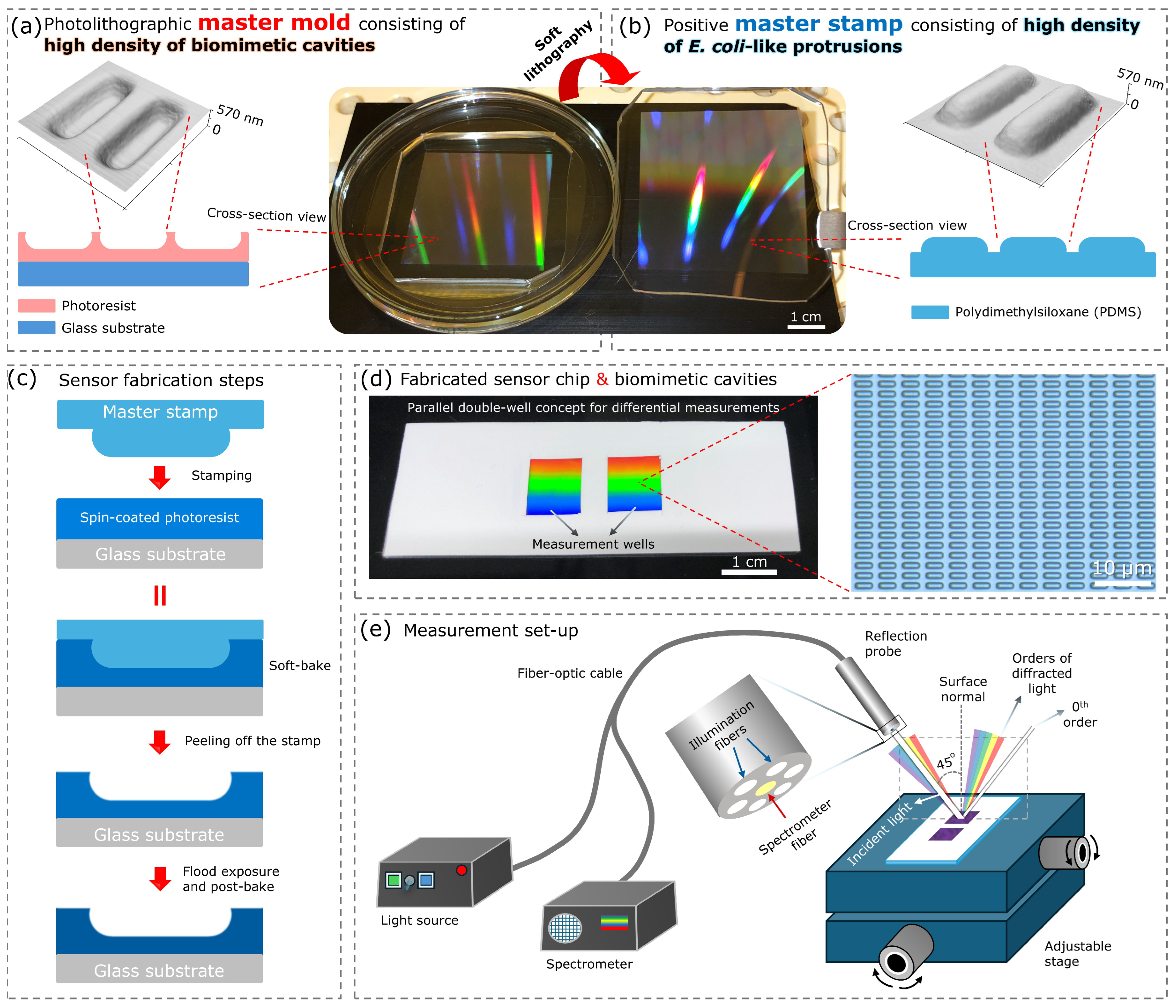 Surface-Imprinted Polymer Coupled with Diffraction Gratings for Low ...