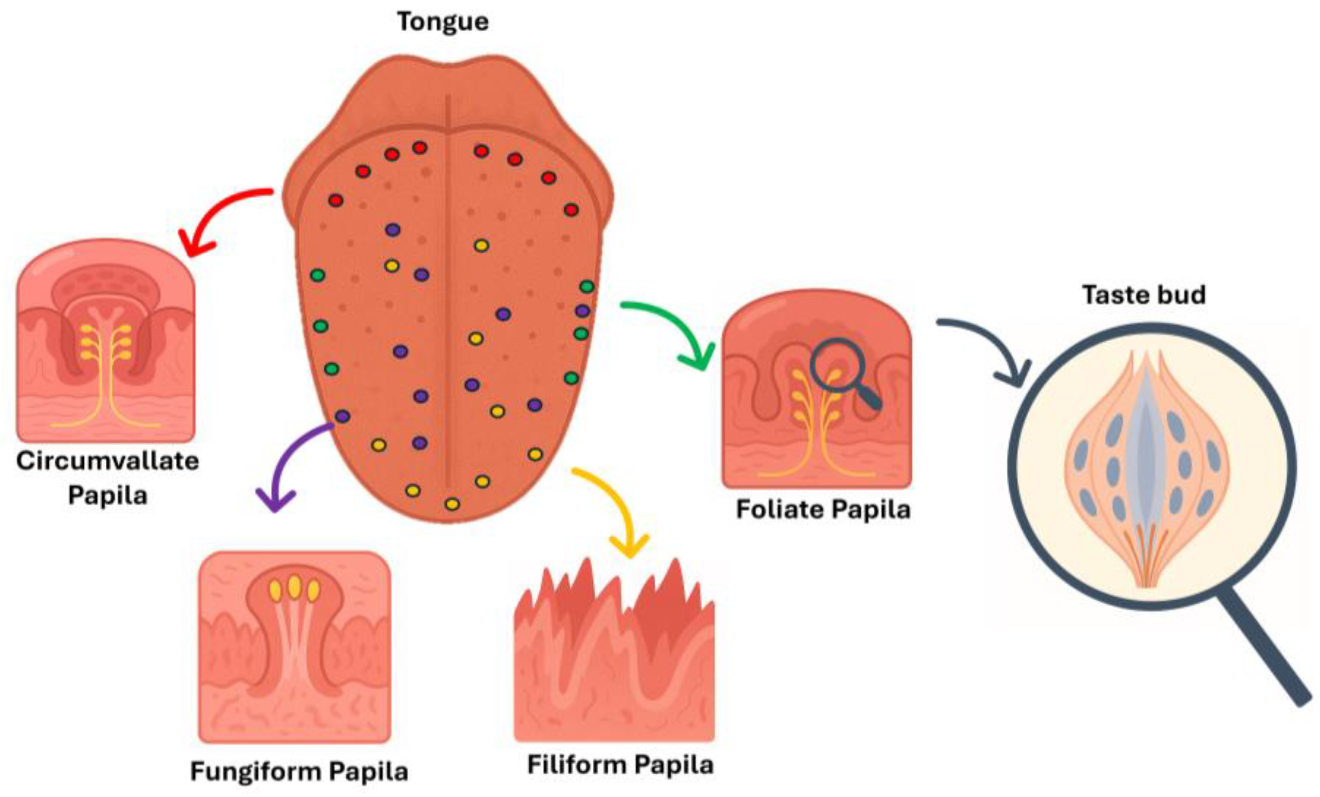 Electrochemical Sensors as a Tool for Taste Perception in ...