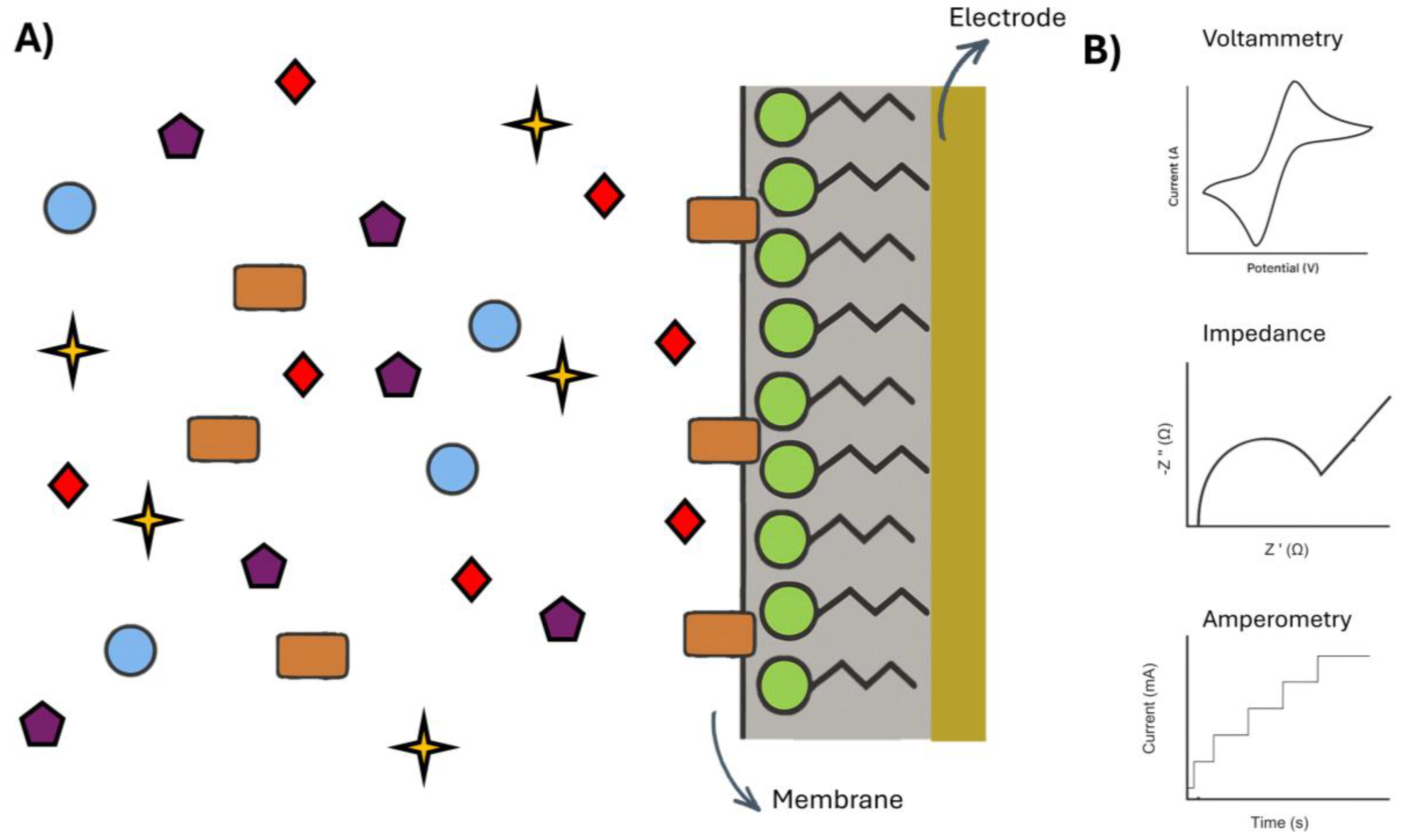 Electrochemical Sensors as a Tool for Taste Perception in ...