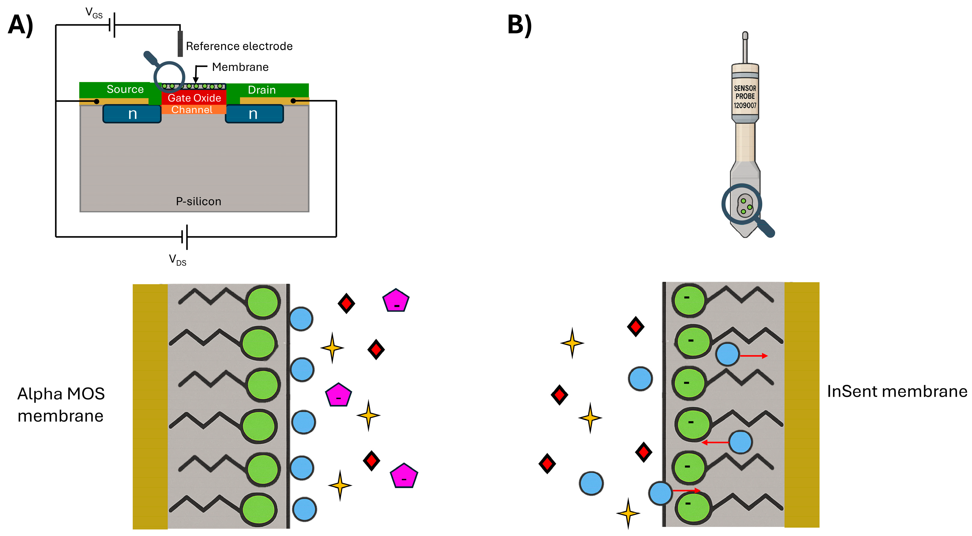 Electrochemical Sensors as a Tool for Taste Perception in ...