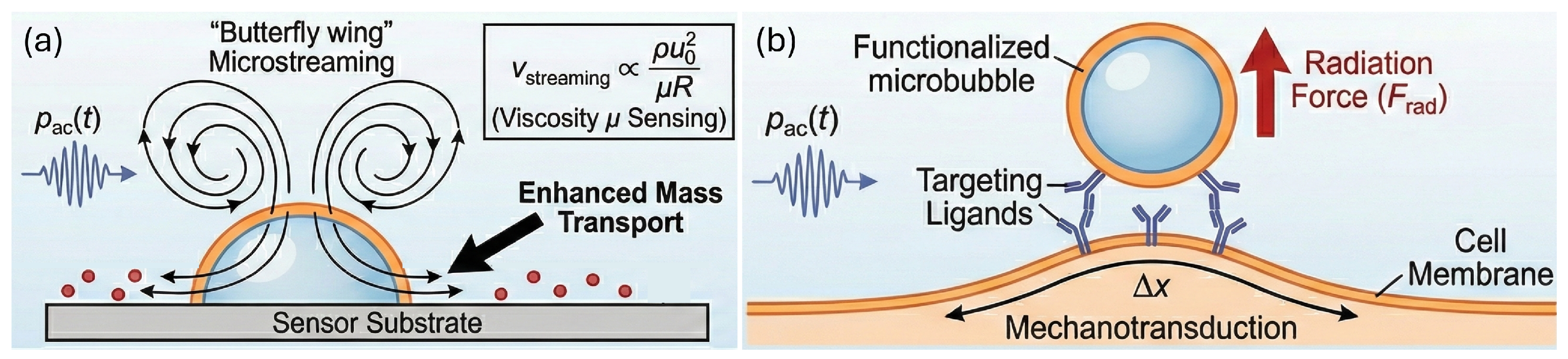 Acoustic Bubble Sensing Techniques and Bioapplications
