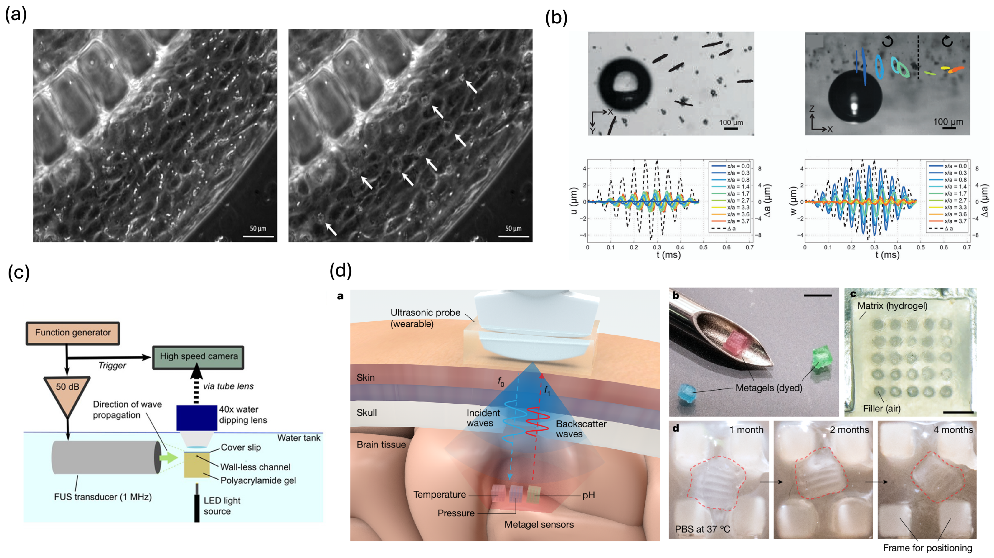 Acoustic Bubble Sensing Techniques and Bioapplications
