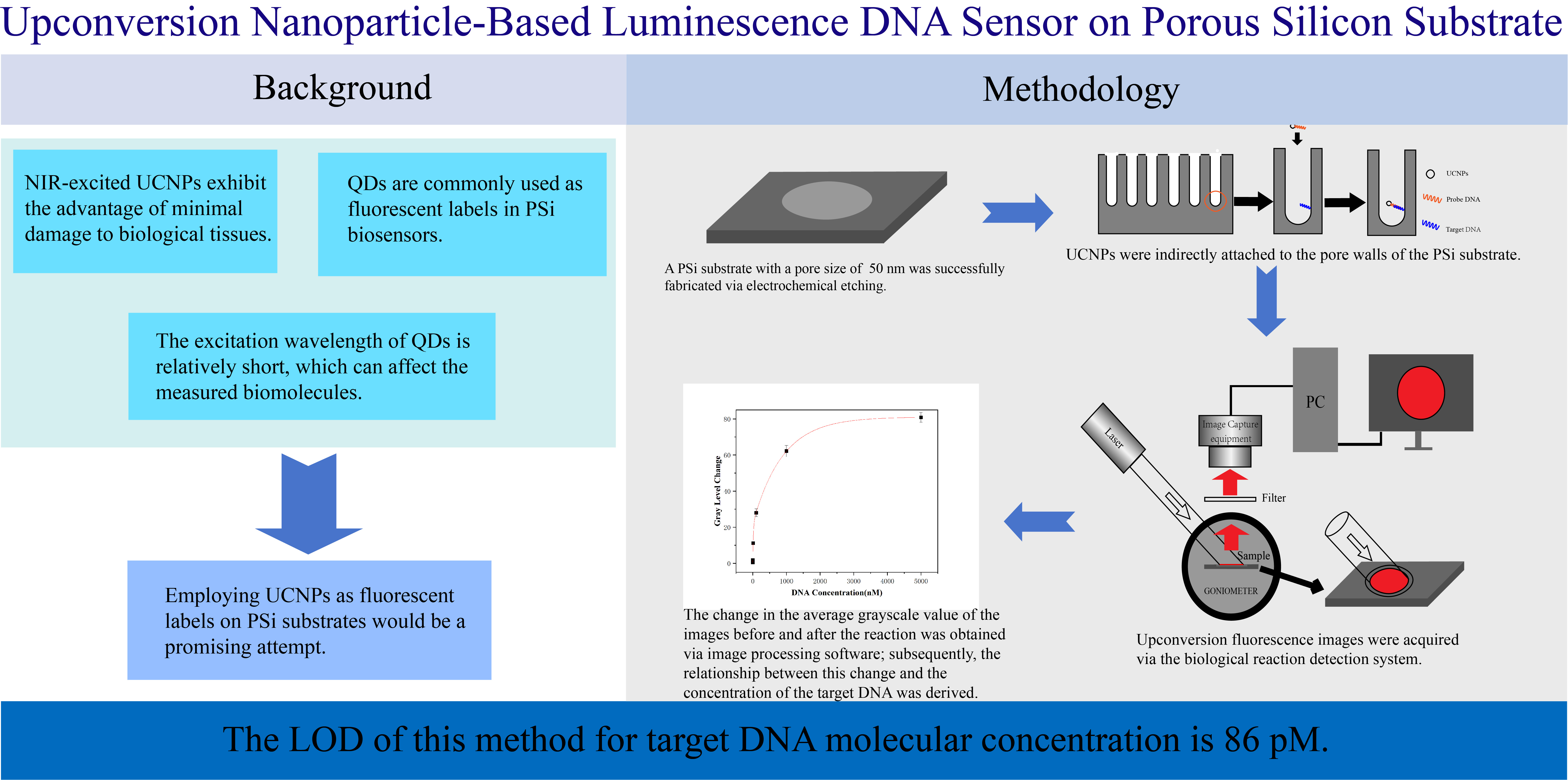 Upconversion Nanoparticle-Based Luminescence DNA Sensor on Porous ...