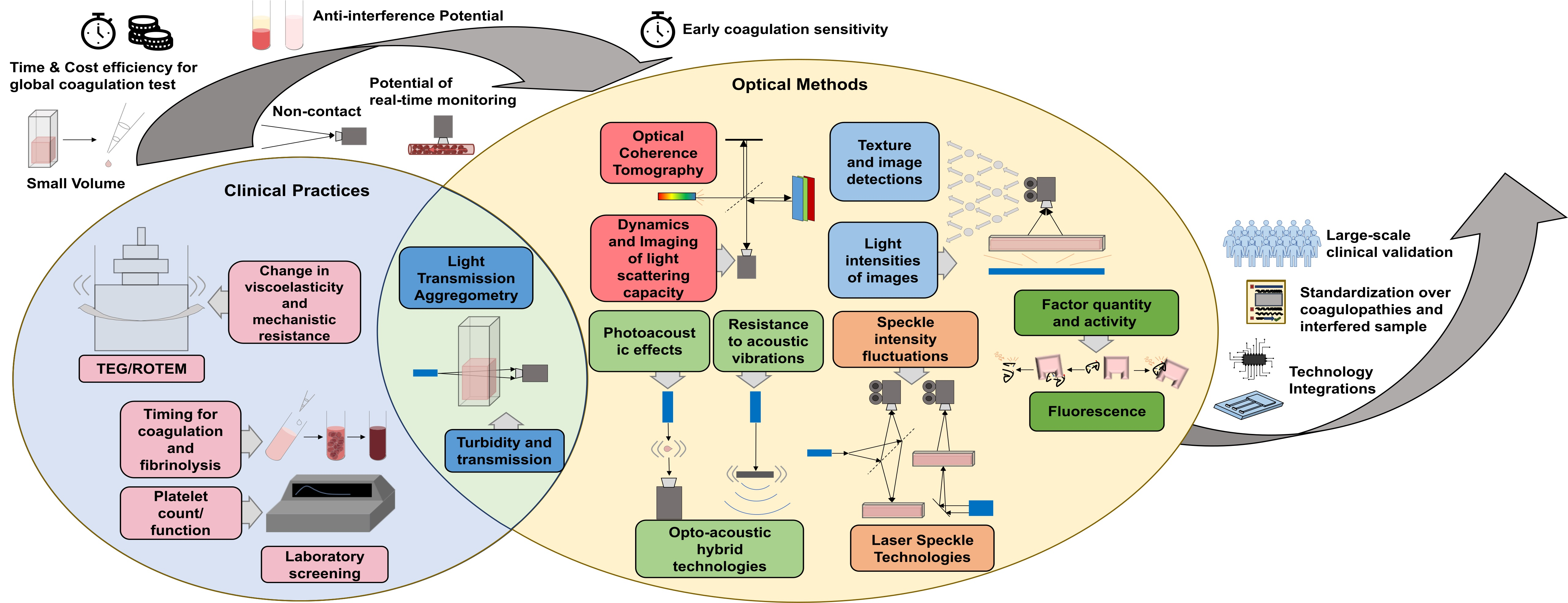 Optical Biosensors for Blood Coagulation Monitoring: Advantages ...
