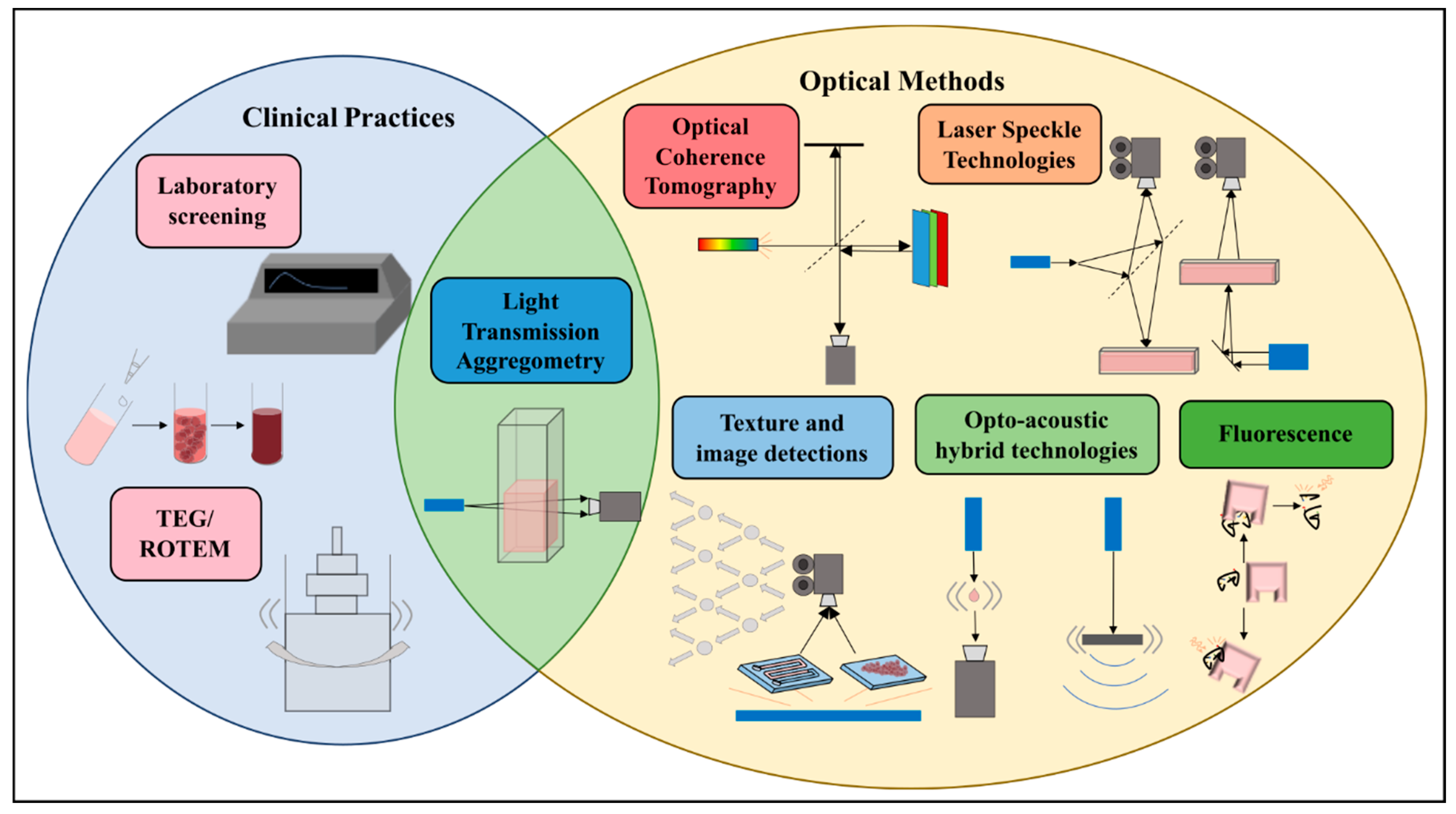 Optical Biosensors for Blood Coagulation Monitoring: Advantages ...
