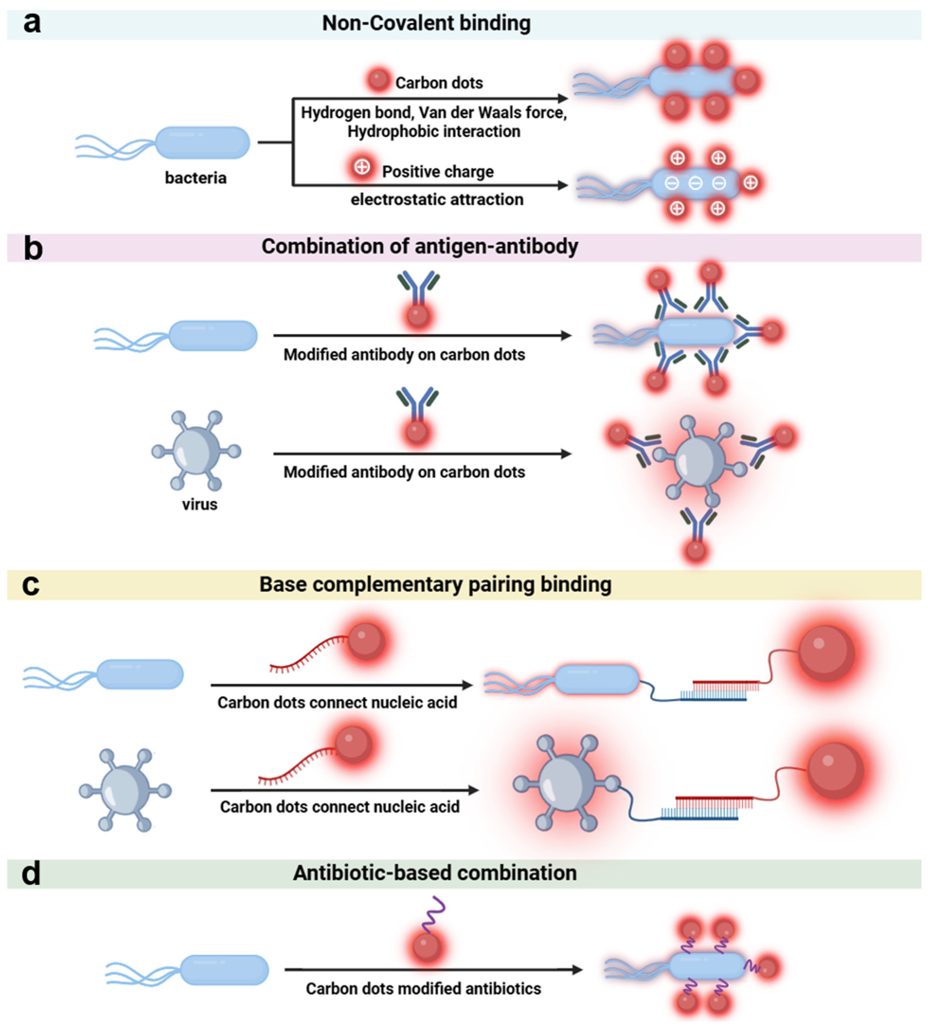 Recent Progress on Carbon-Dots-Based Probes for Microbial Labeling and ...
