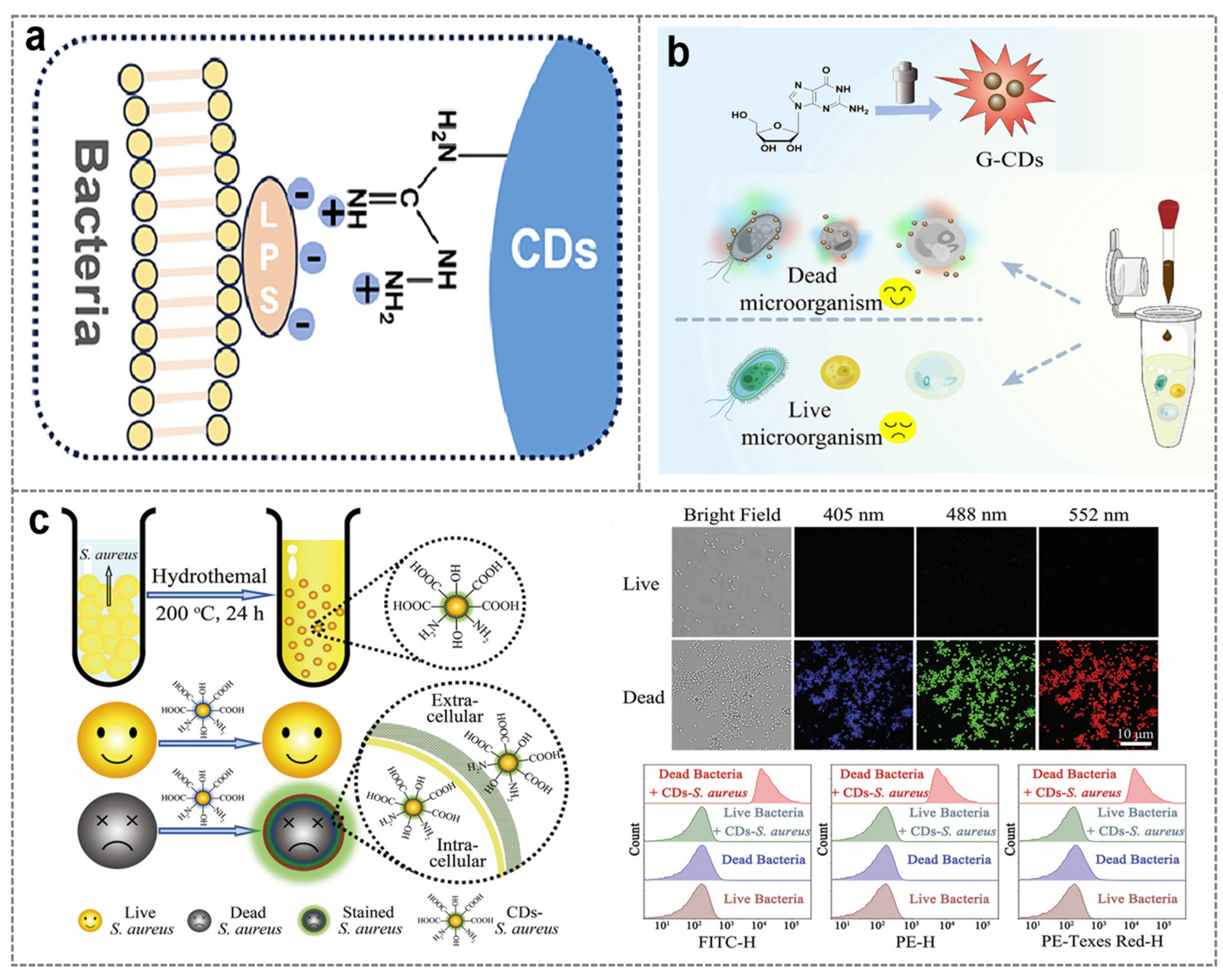 Recent Progress on Carbon-Dots-Based Probes for Microbial Labeling and ...
