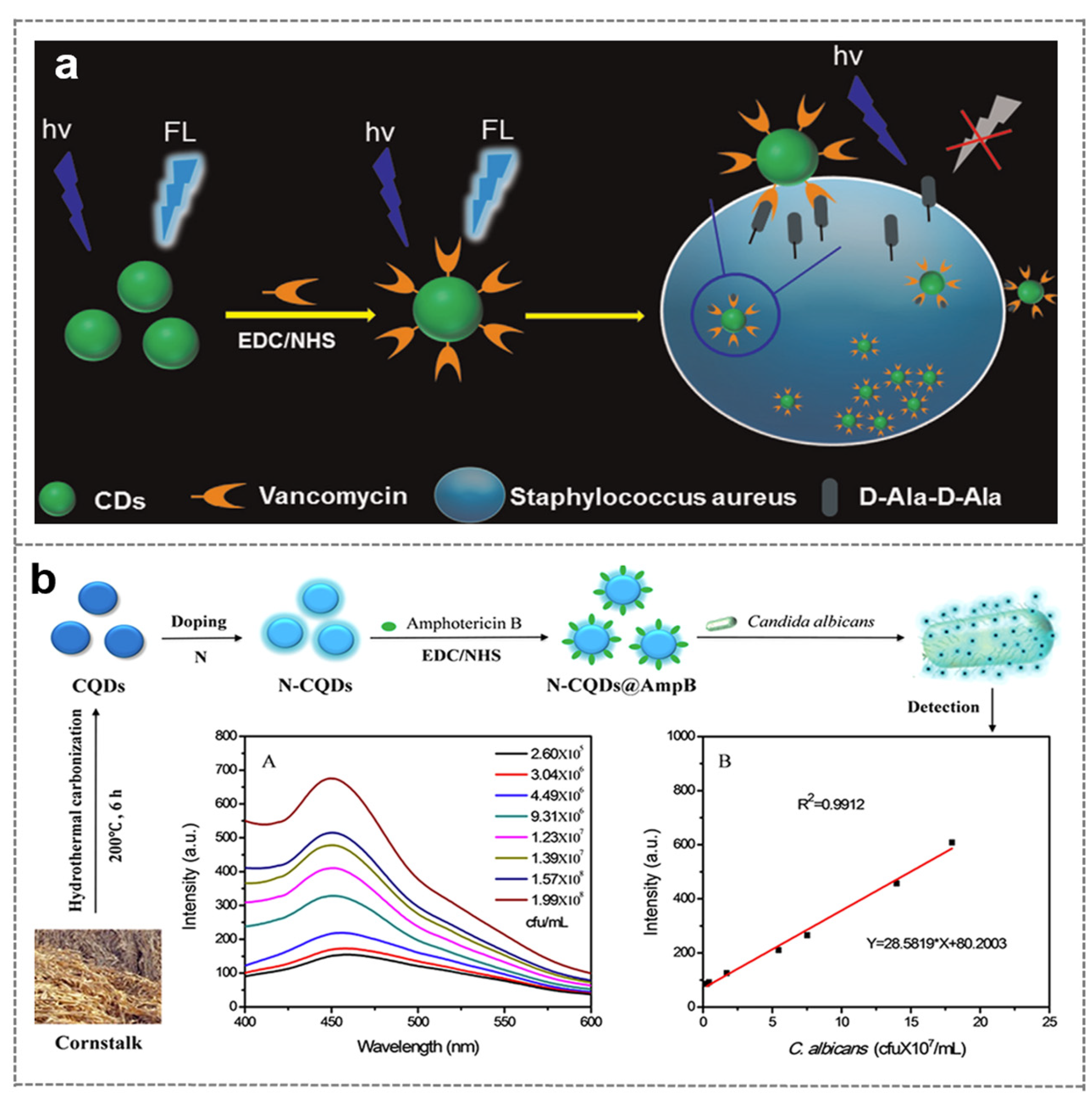 Recent Progress on Carbon-Dots-Based Probes for Microbial Labeling and ...