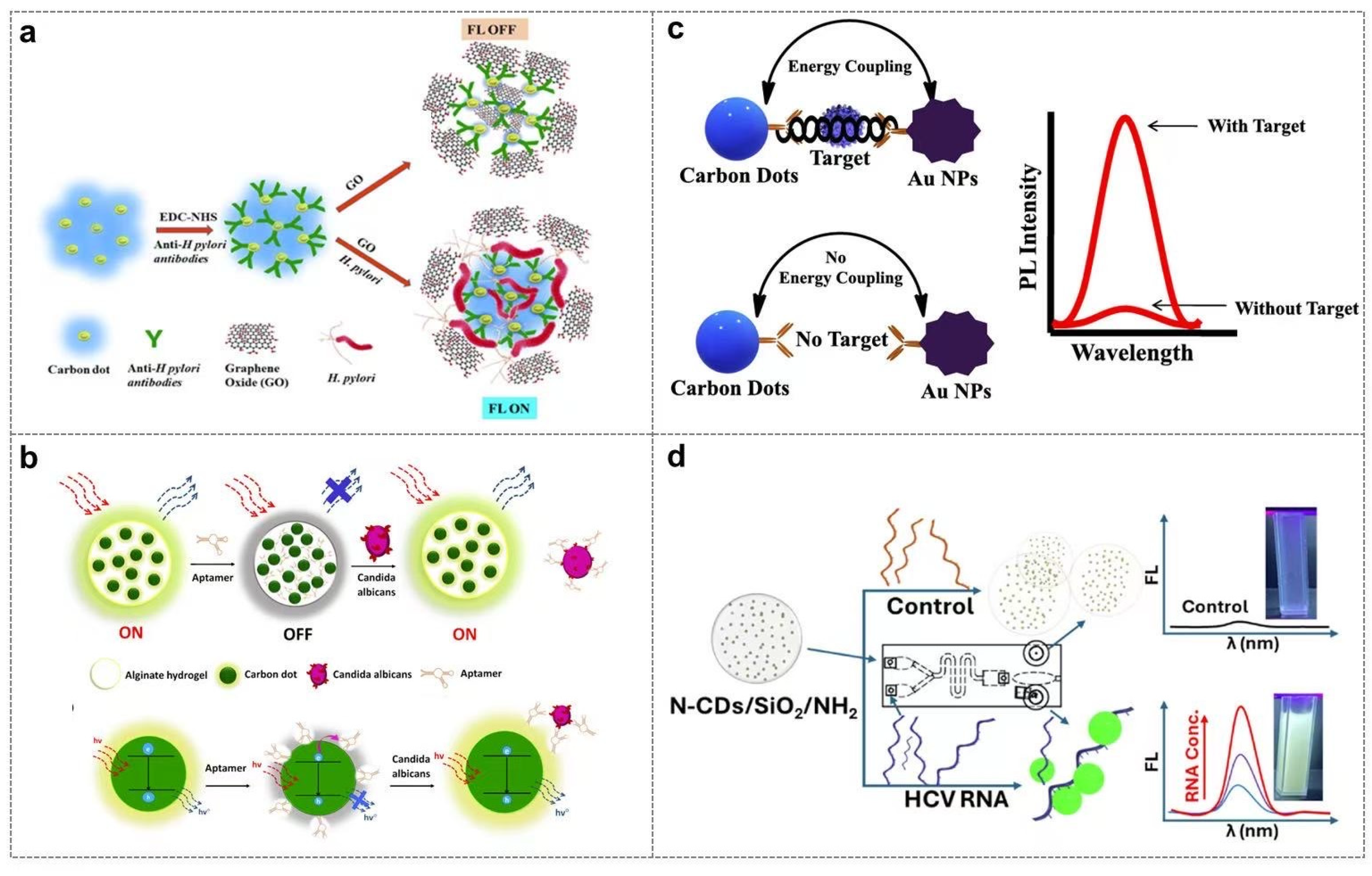 Recent Progress on Carbon-Dots-Based Probes for Microbial Labeling and ...