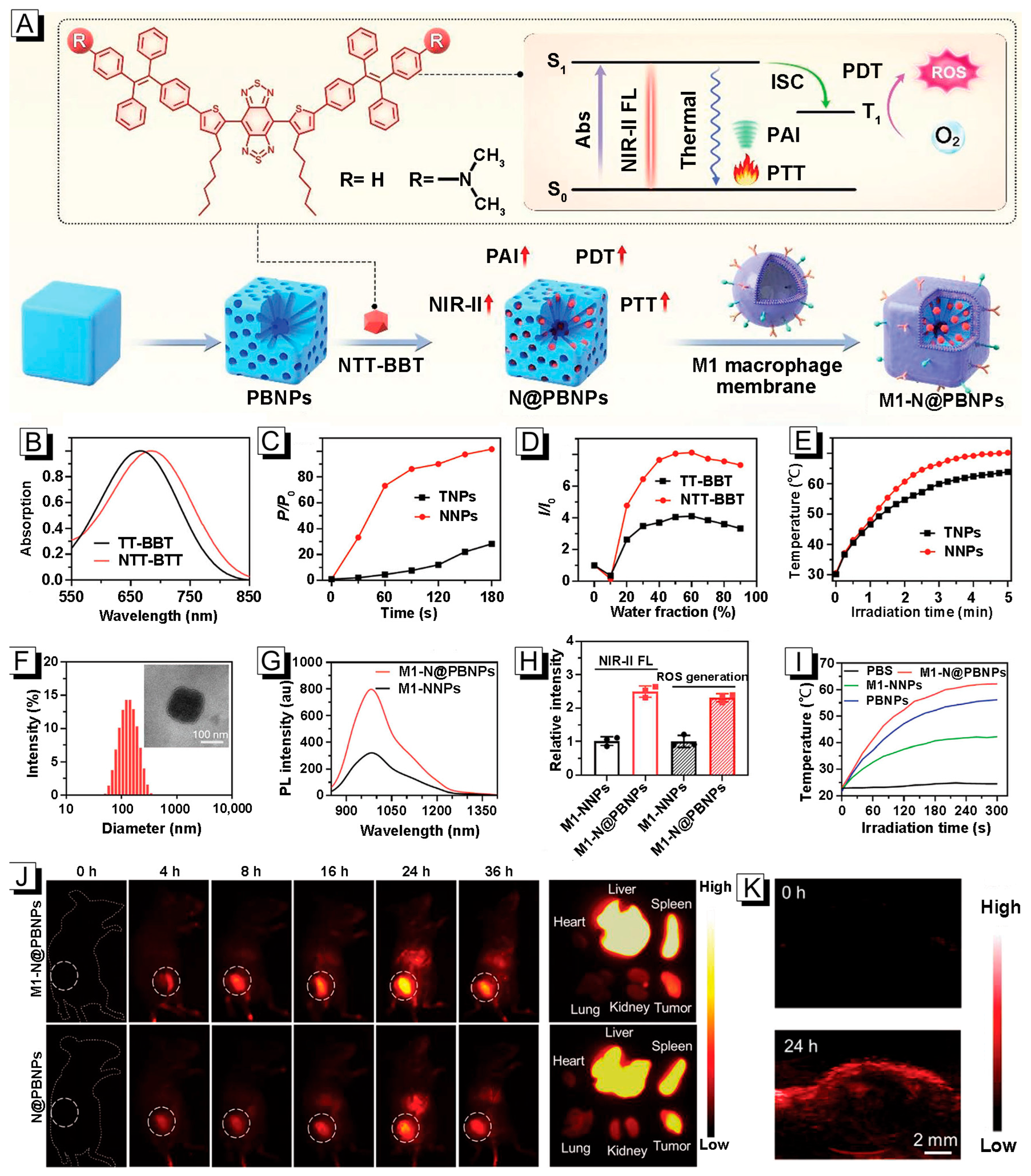 NIR-II AIEgens for Phototheranostics: Design, Applications and Perspectives
