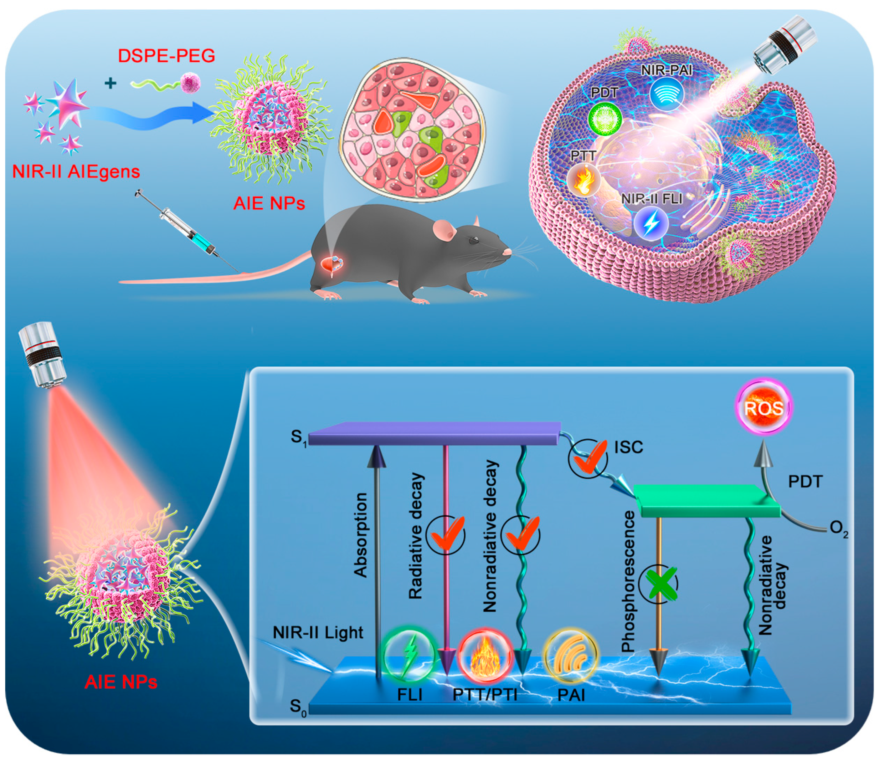 NIR-II AIEgens for Phototheranostics: Design, Applications and Perspectives