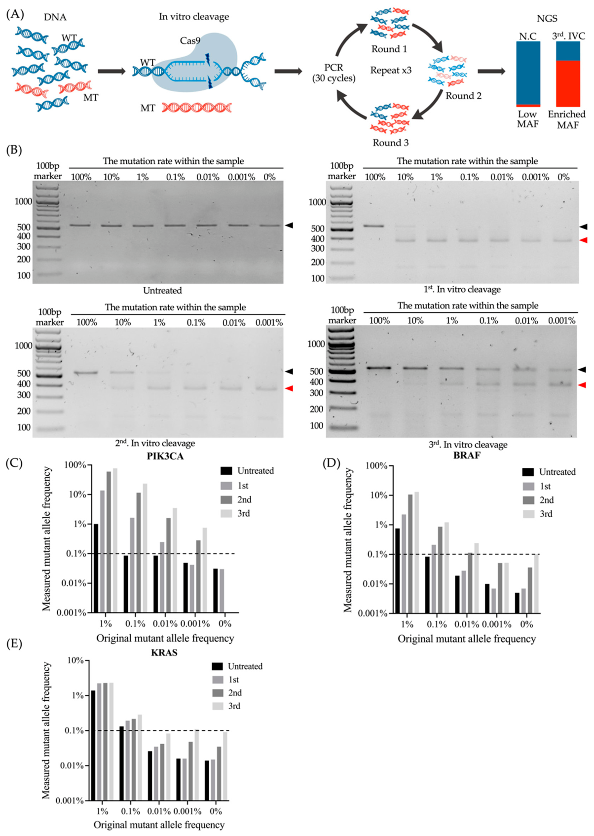 Sequential CRISPR-EspCas9-Mediated Wild-Type Depletion Enhances the ...