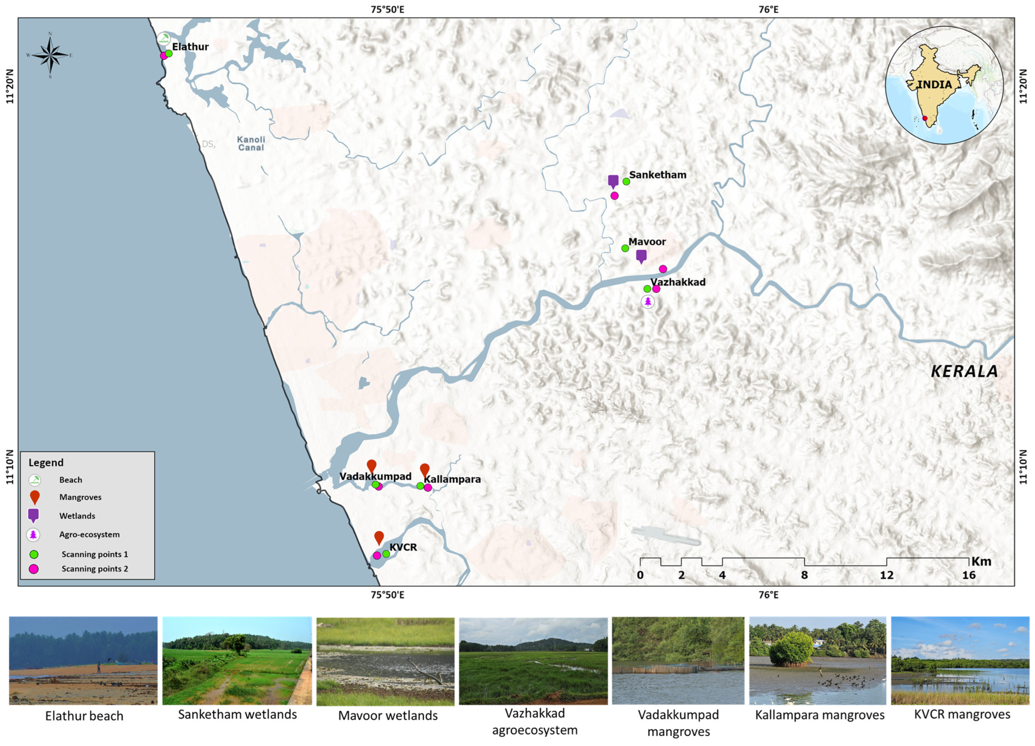 Perch Height as a Driver of Foraging Behaviour and Hunting Success in ...