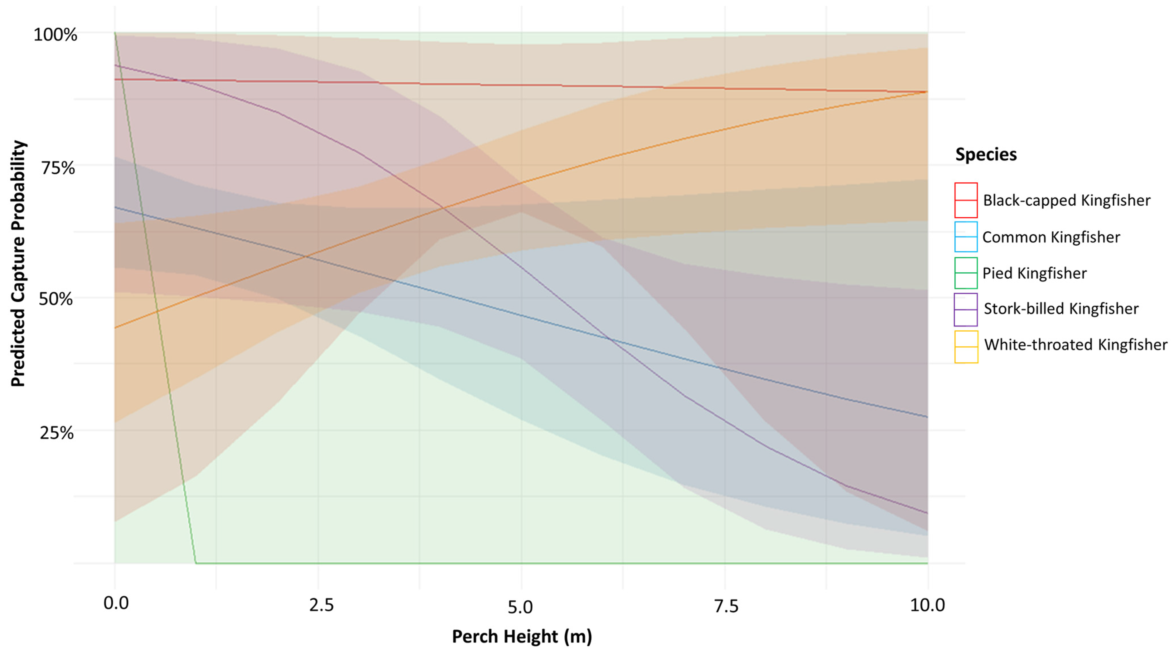 Perch Height as a Driver of Foraging Behaviour and Hunting Success in ...