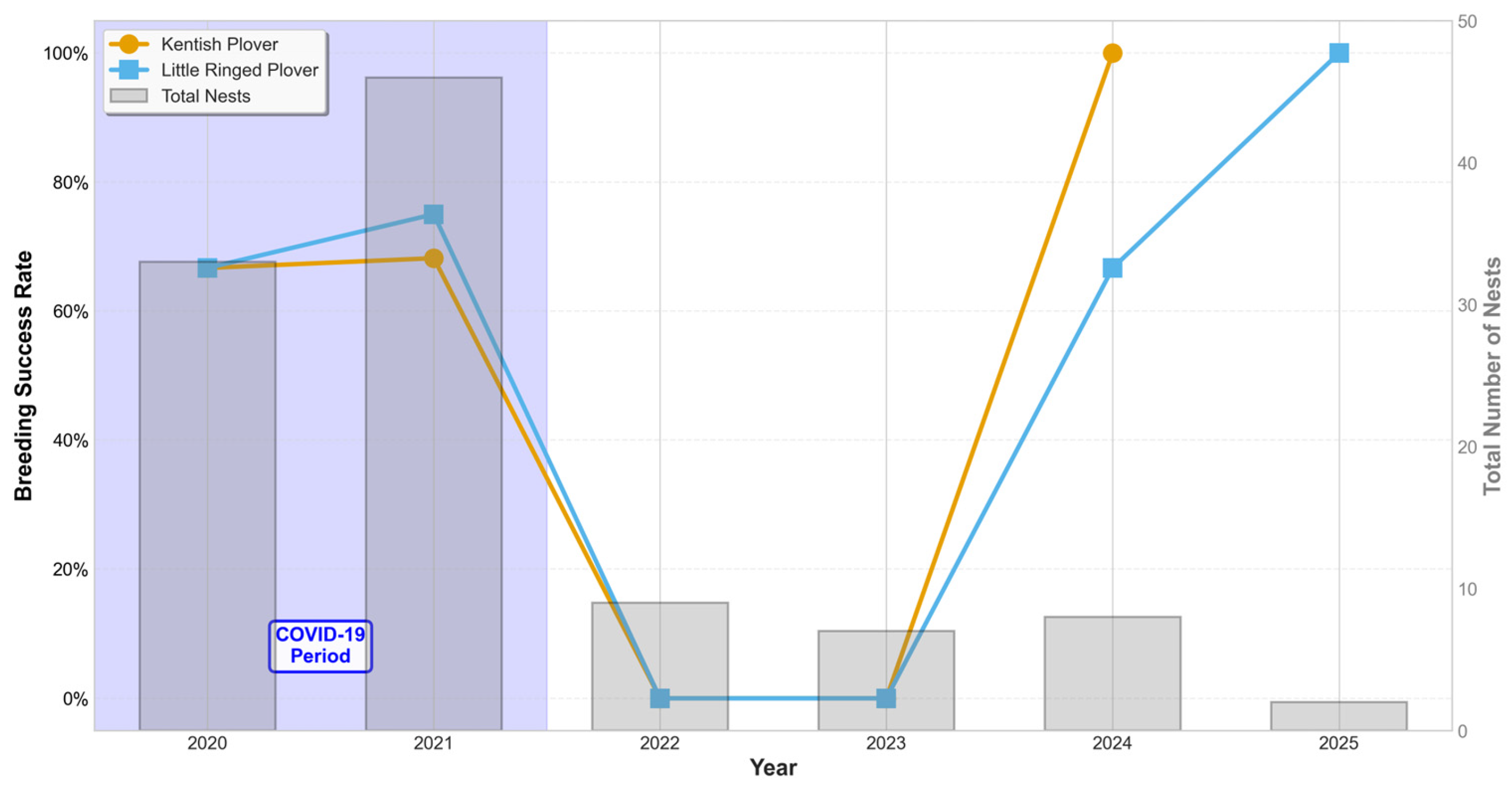 Breeding Under Pressure: Shorebird Reproductive Success Amid Urban ...
