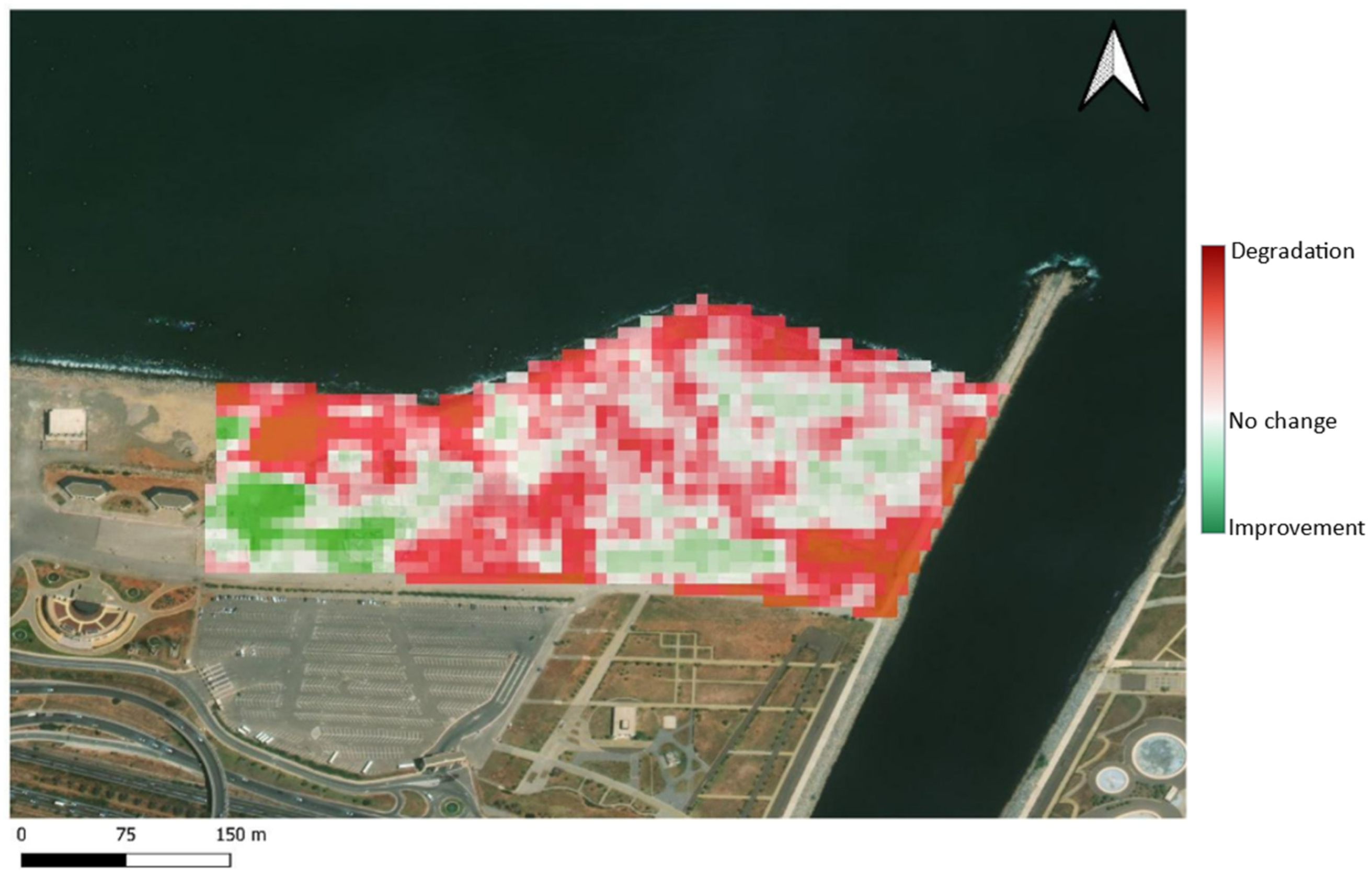 Breeding Under Pressure: Shorebird Reproductive Success Amid Urban ...