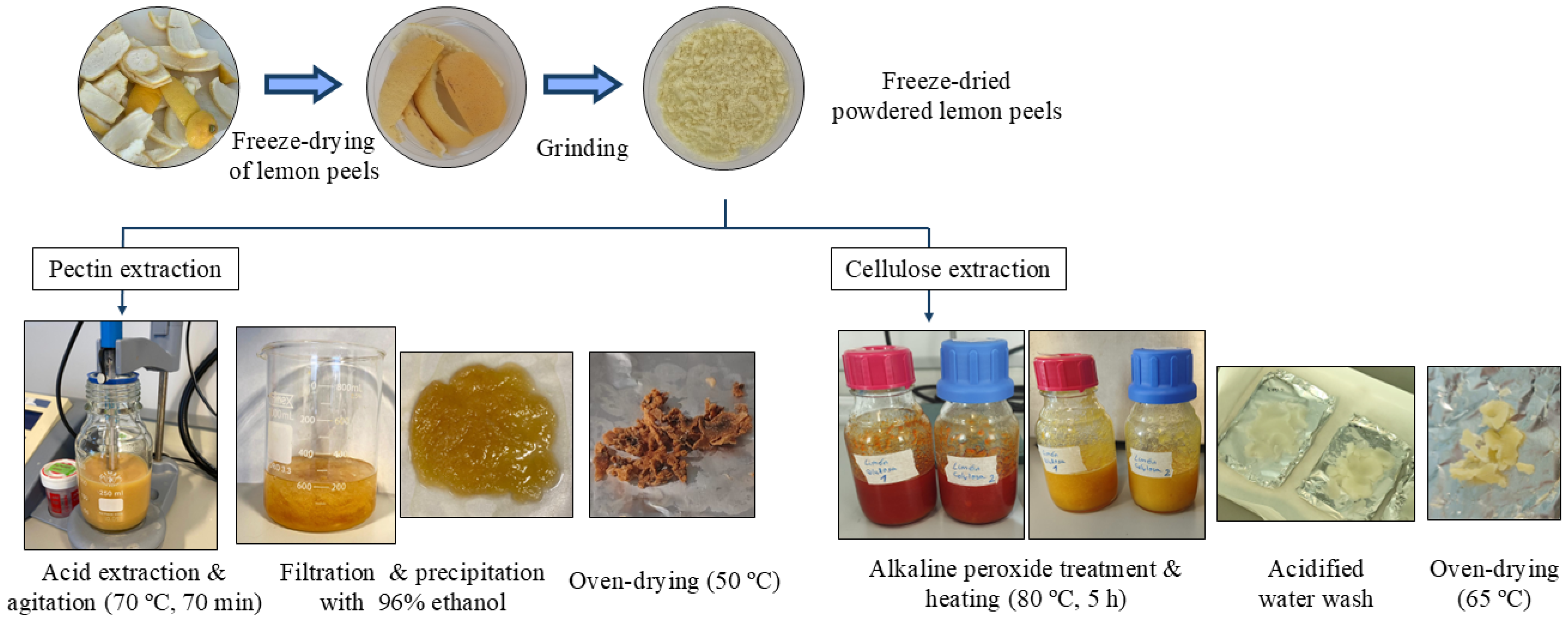 Exploring Flavonoids and Citric Acid Extraction Yields from Lemon Peels ...