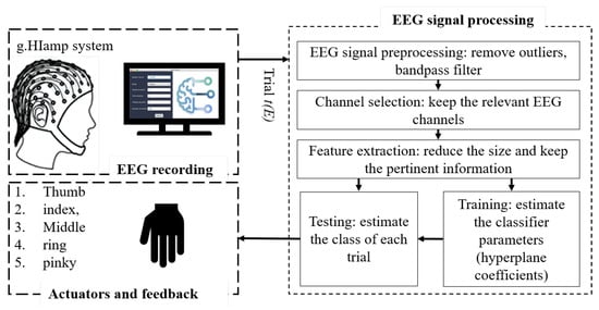 EEG-Based BCI System to Detect Fingers Movements