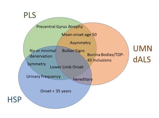 Why Do Fasciculations Occur In Lower Motor Neuron Lesions | Webmotor.org Why Do Fasciculations Occur In Lower Motor Neuron Lesions | Webmotor.org
