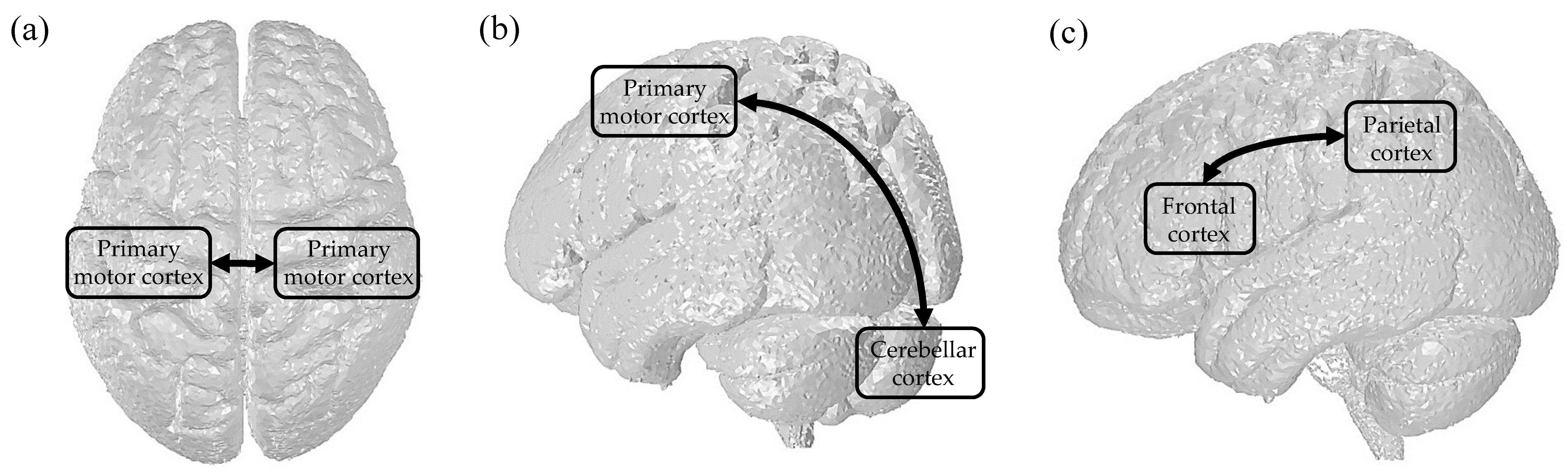 Brain Sciences Free Full Text Motor Learning Based On Oscillatory Brain Sciences Free Full Text Motor Learning Based On Oscillatory