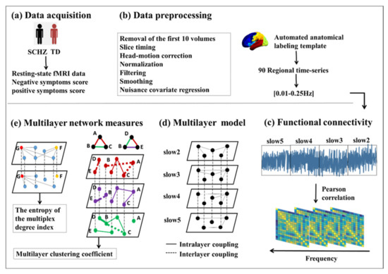 Functional Integration and Segregation in a Multilayer Network Model of ...