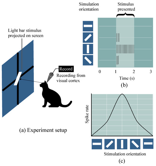 Artificial Visual System for Orientation Detection Based on Hubel–Wiesel Model